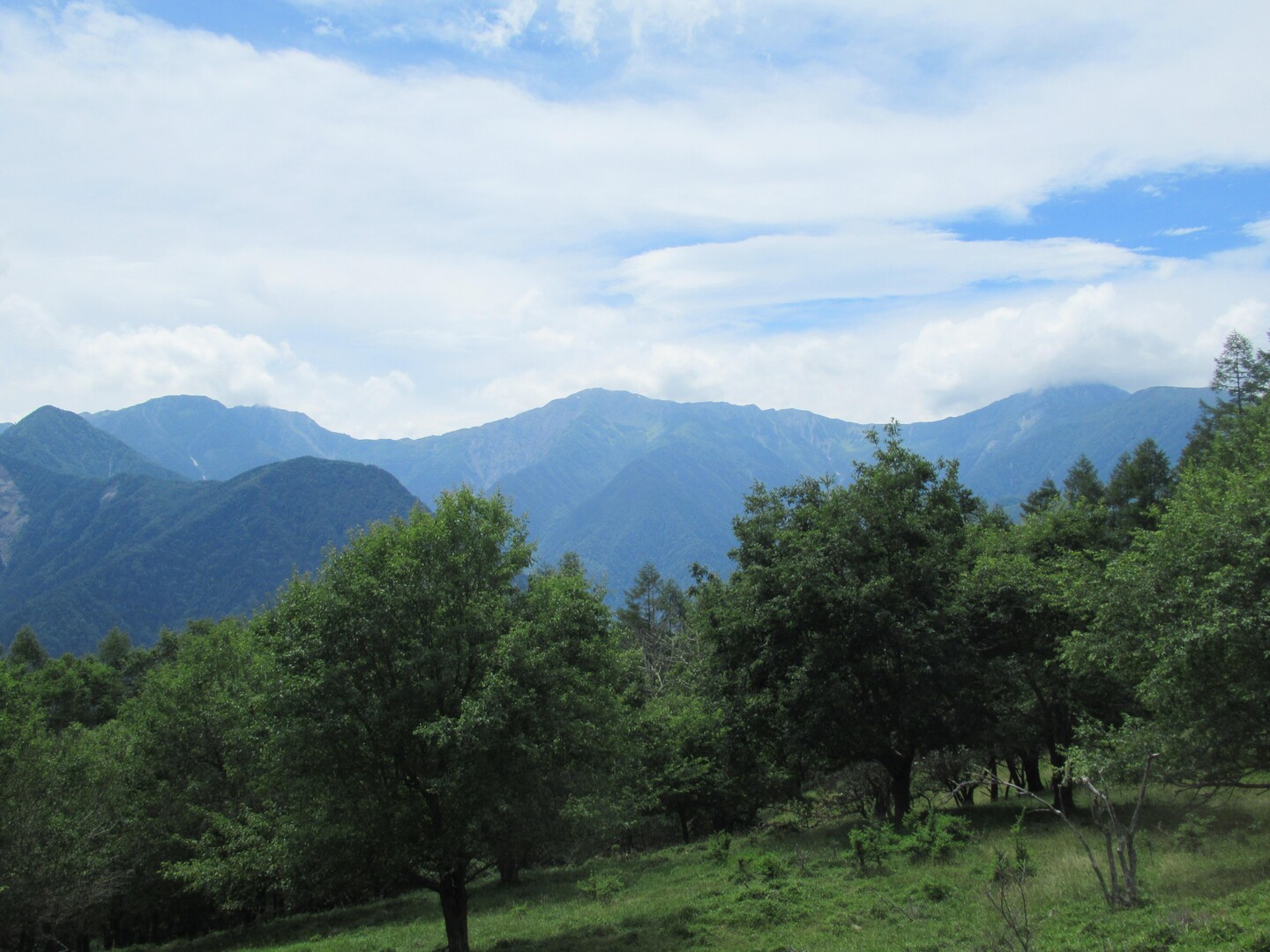 高谷山-2024-07-20 / take-suzuさんの鳳凰山・地蔵岳・観音岳・薬師岳の活動データ | YAMAP / ヤマップ