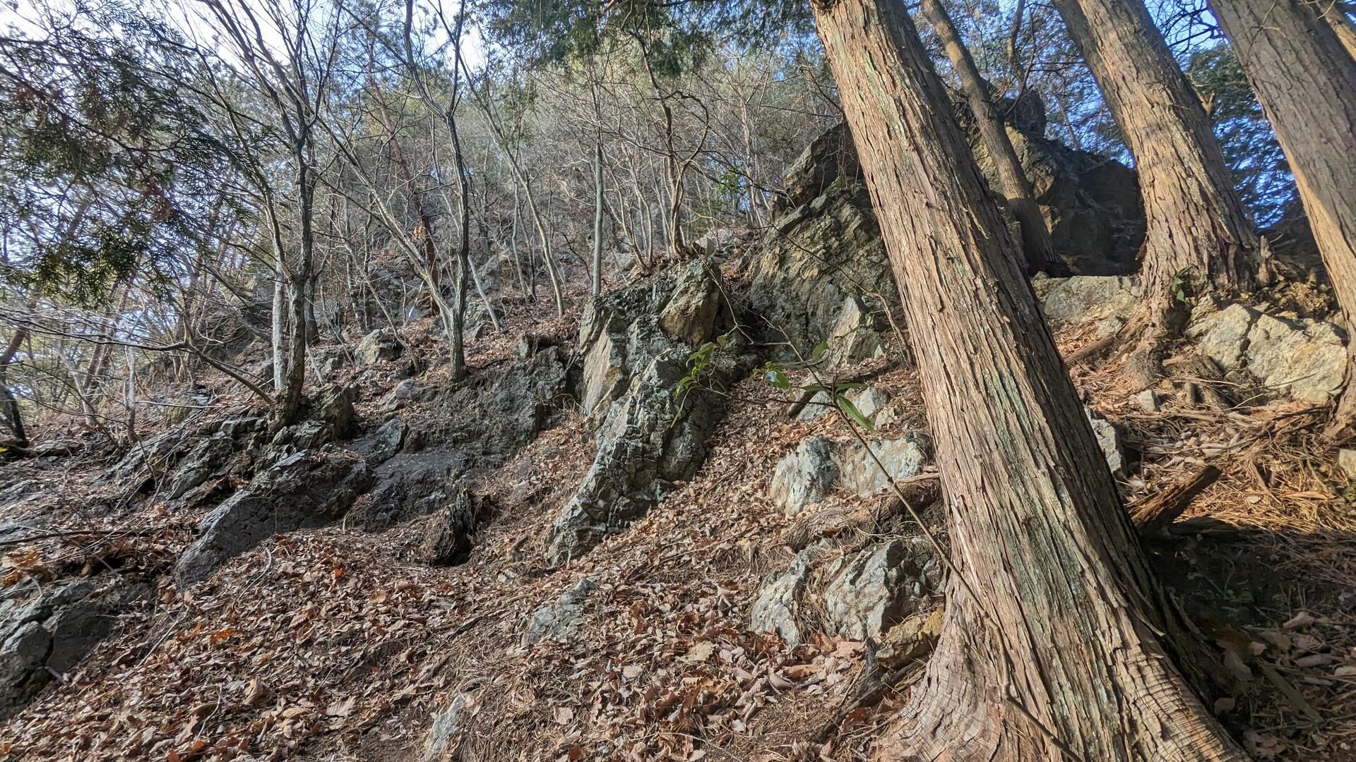 noraさんの投稿したフィールドメモ | YAMAP / ヤマップ