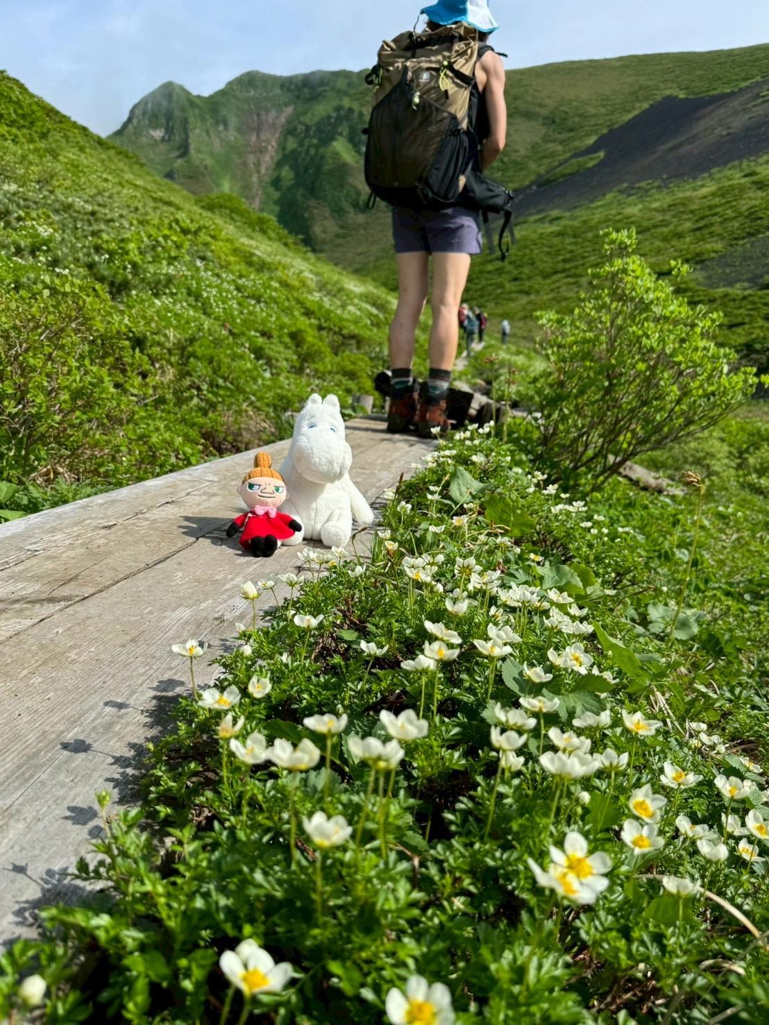 ムーミン連れてムーミン谷へ♪ / junko(☝ ՞ਊ ՞)☝CKBさんの秋田駒ヶ岳・男女岳・貝吹岳の活動日記 | YAMAP / ヤマップ