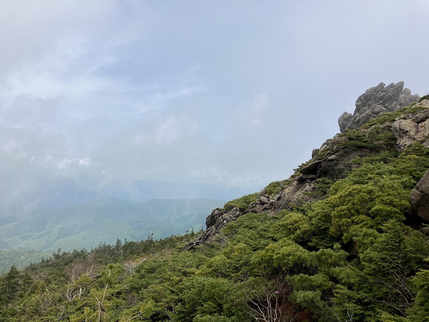 早池峰山 / chiさんの早池峰山・薬師岳・鶏頭山の活動データ | YAMAP / ヤマップ