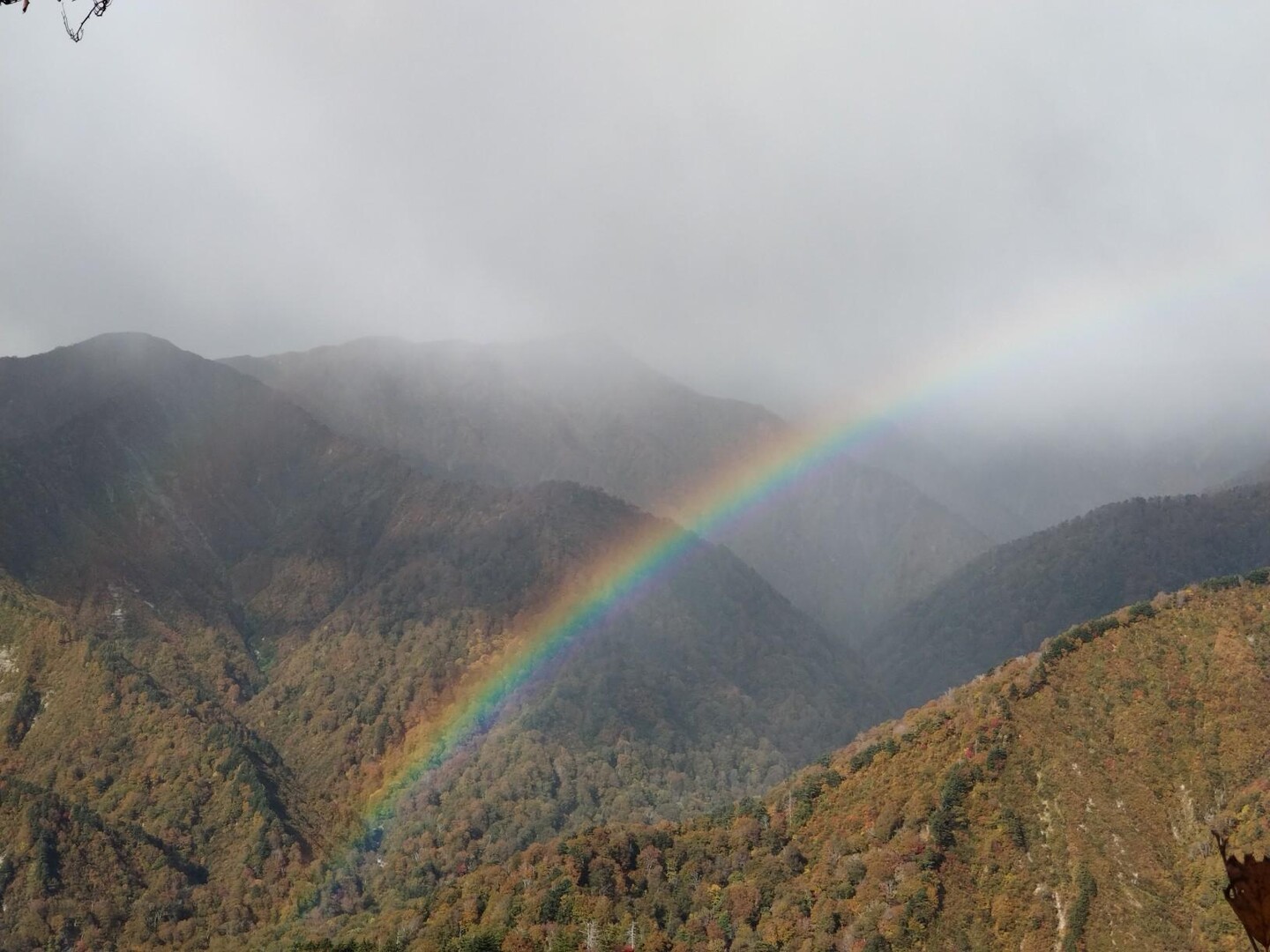祝瓶山 / ももいろ23区さんの大朝日岳・朝日連峰・祝瓶山の活動データ | YAMAP / ヤマップ