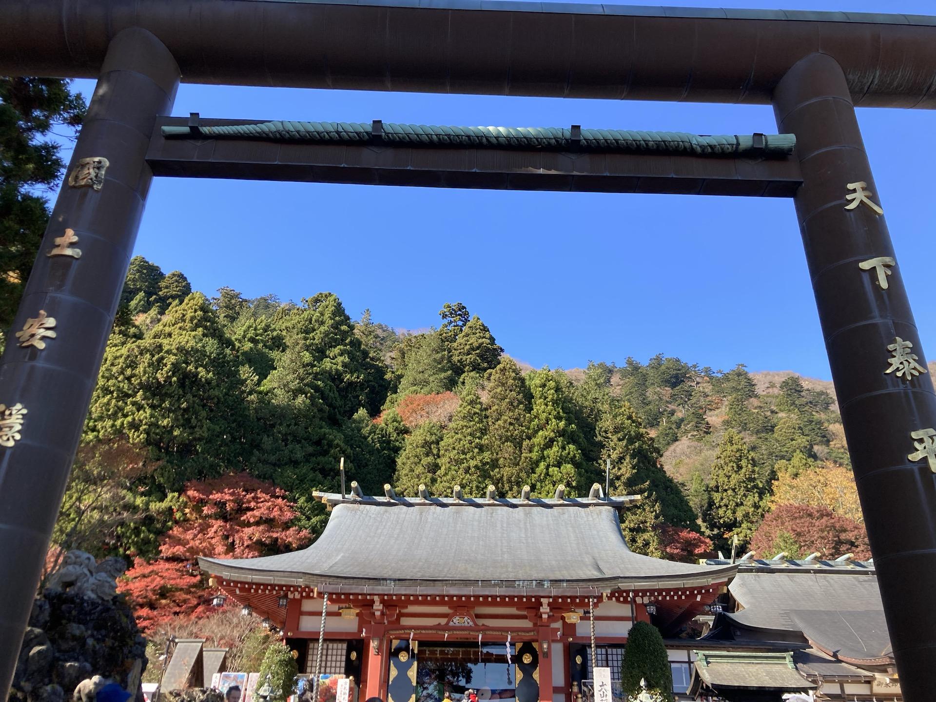 大山登山マラソンのコースを試走してみた / アッコさんさんの大山の活動データ | YAMAP / ヤマップ