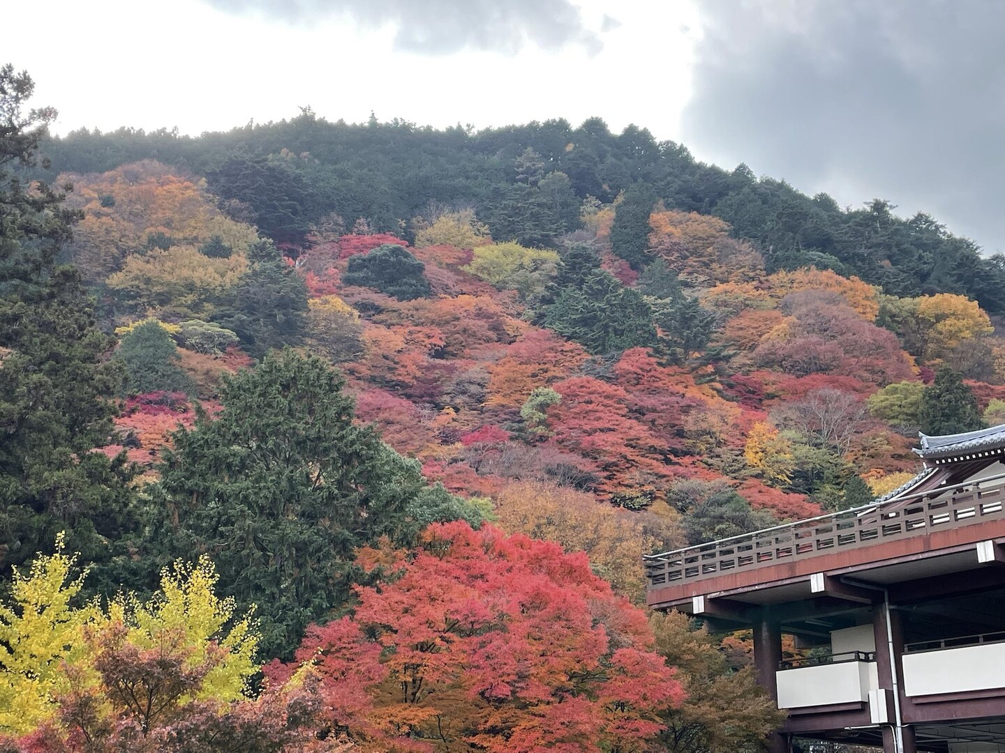 善峯寺〜釈迦岳〜ポンポン山〜善峯寺散策🍁 / E.SZさんのポンポン山・釈迦岳・小塩山・若山の活動データ | YAMAP / ヤマップ