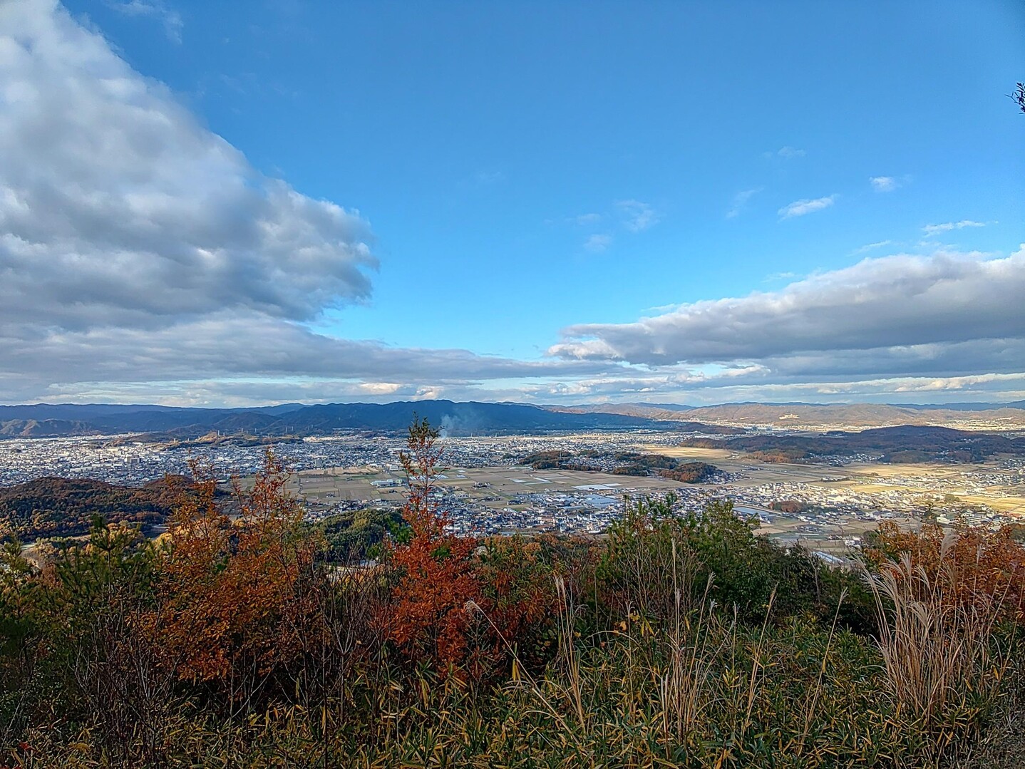 久々の福山徘徊 / Mr.マイキーさんの福山・江田山・高鳥居山の活動データ | YAMAP / ヤマップ