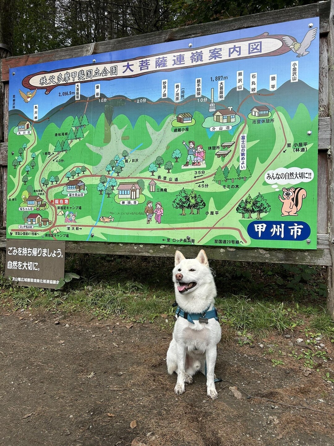 大菩薩嶺③（犬連れ） / HAKU&NAOさんの大菩薩嶺・鶏冠山・大マテイ山の活動データ | YAMAP / ヤマップ