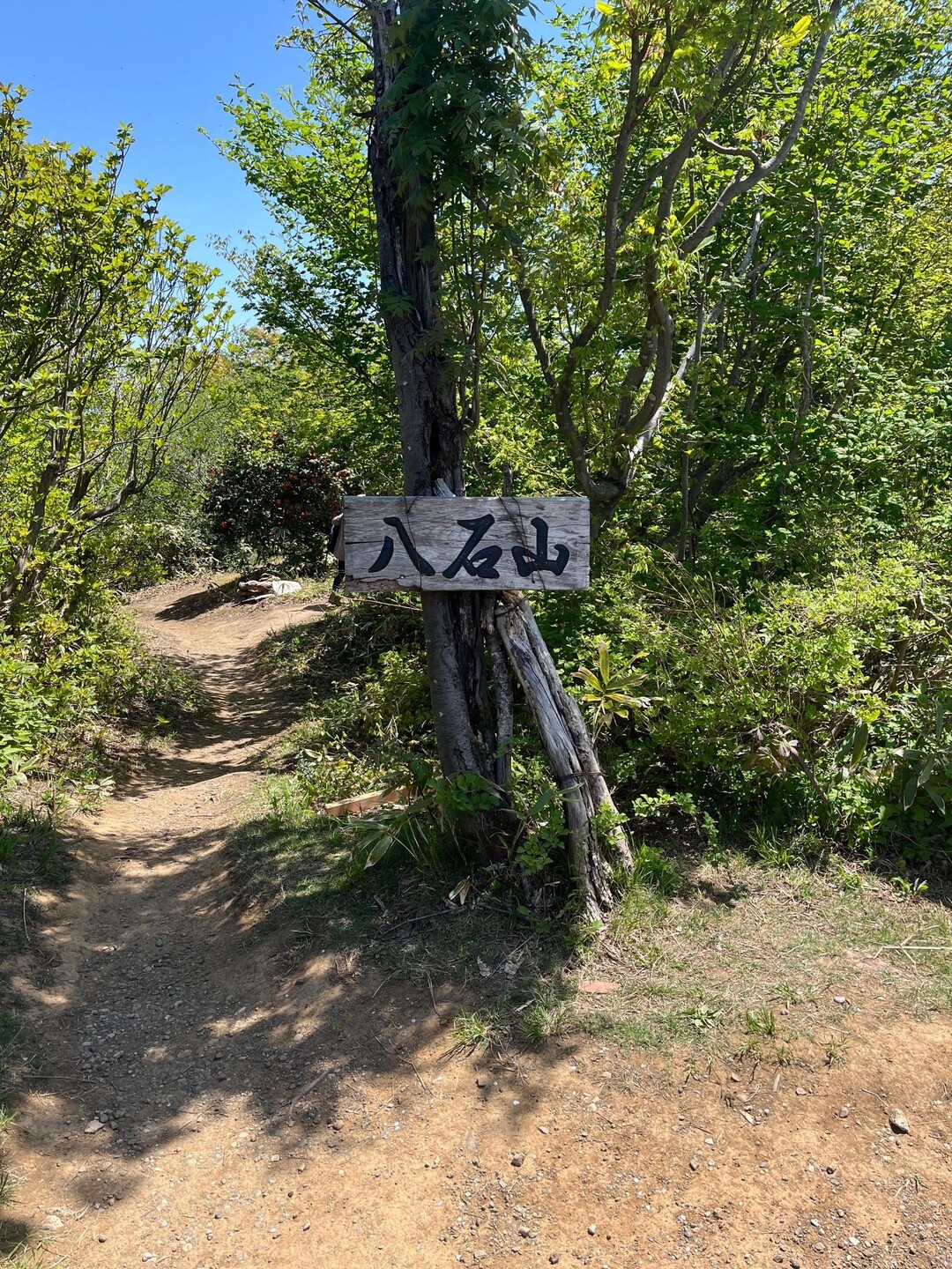 南条八石山（下八石山） / COCO-Tさんの八石山の活動データ | YAMAP / ヤマップ