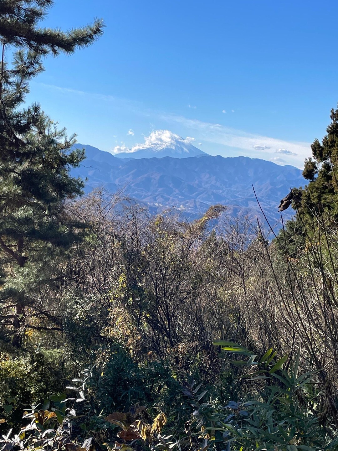 峰尾山・城山（小仏城山）・高尾山・神変山 / R3 kenさんの高尾山・陣馬山・景信山の活動データ | YAMAP / ヤマップ