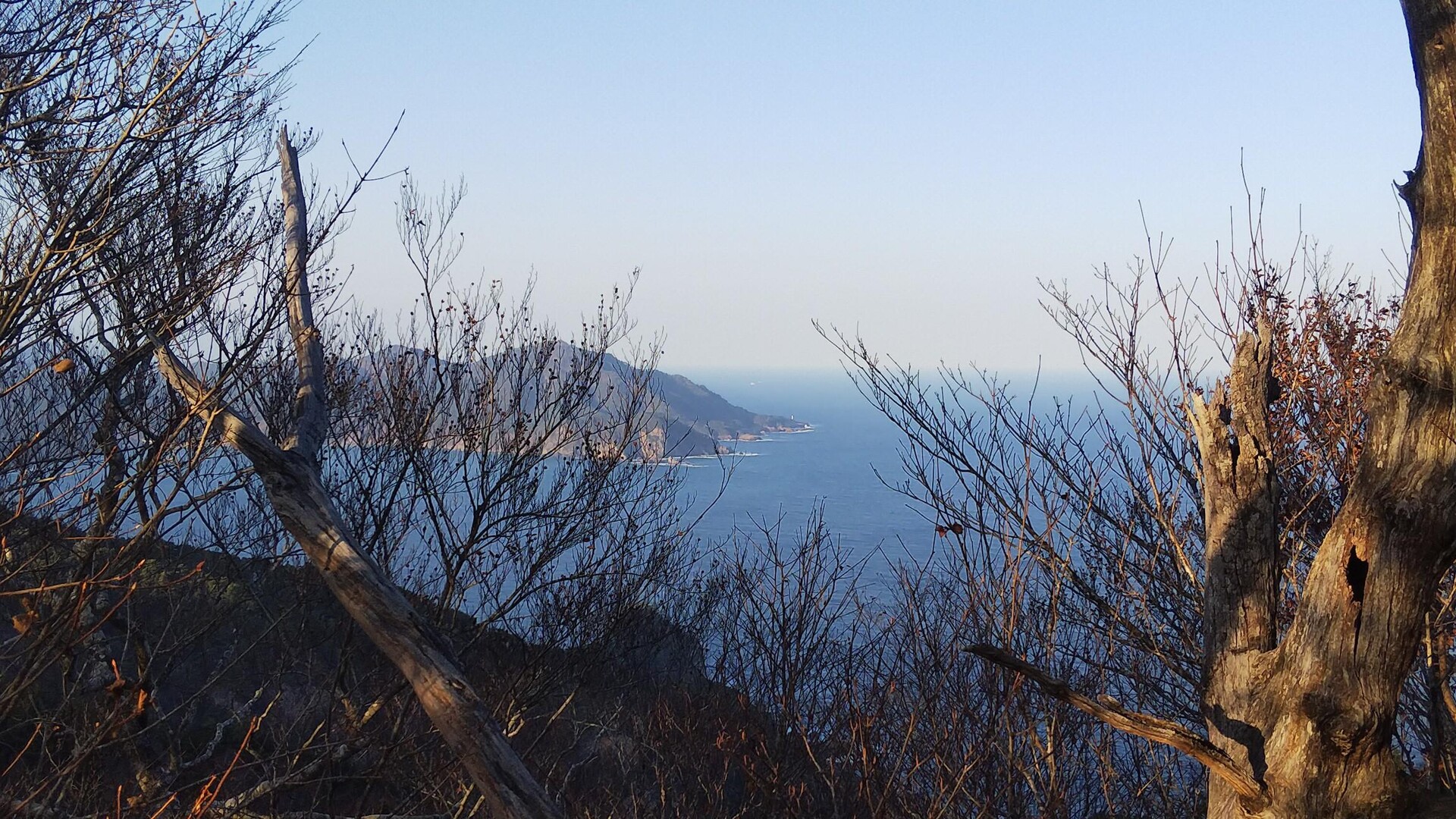 yamada_man4414さんの投稿したフィールドメモ | YAMAP / ヤマップ