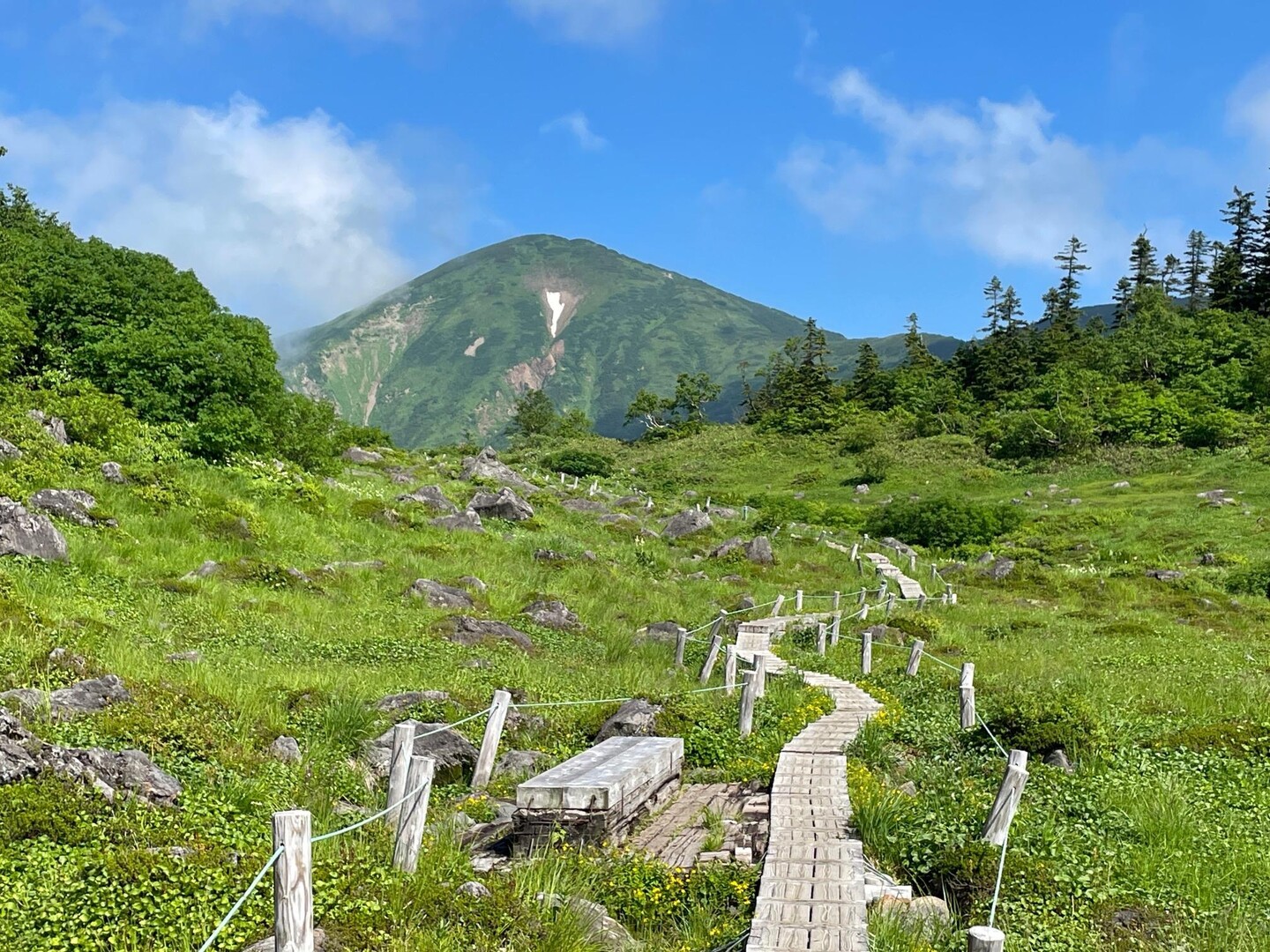 ワタスゲ狙いの火打山ですが💦 / mmmさんの妙高山・火打山の活動データ | YAMAP / ヤマップ