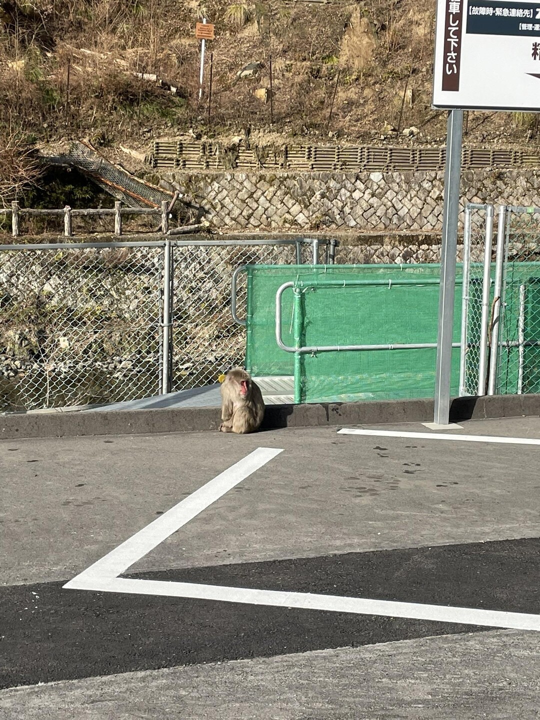 気がつけば勝尾寺 最勝ヶ峰・勝尾寺南山 / otorinさんの六個山・鉢伏山・明ヶ田尾山・五月山の活動データ | YAMAP / ヤマップ