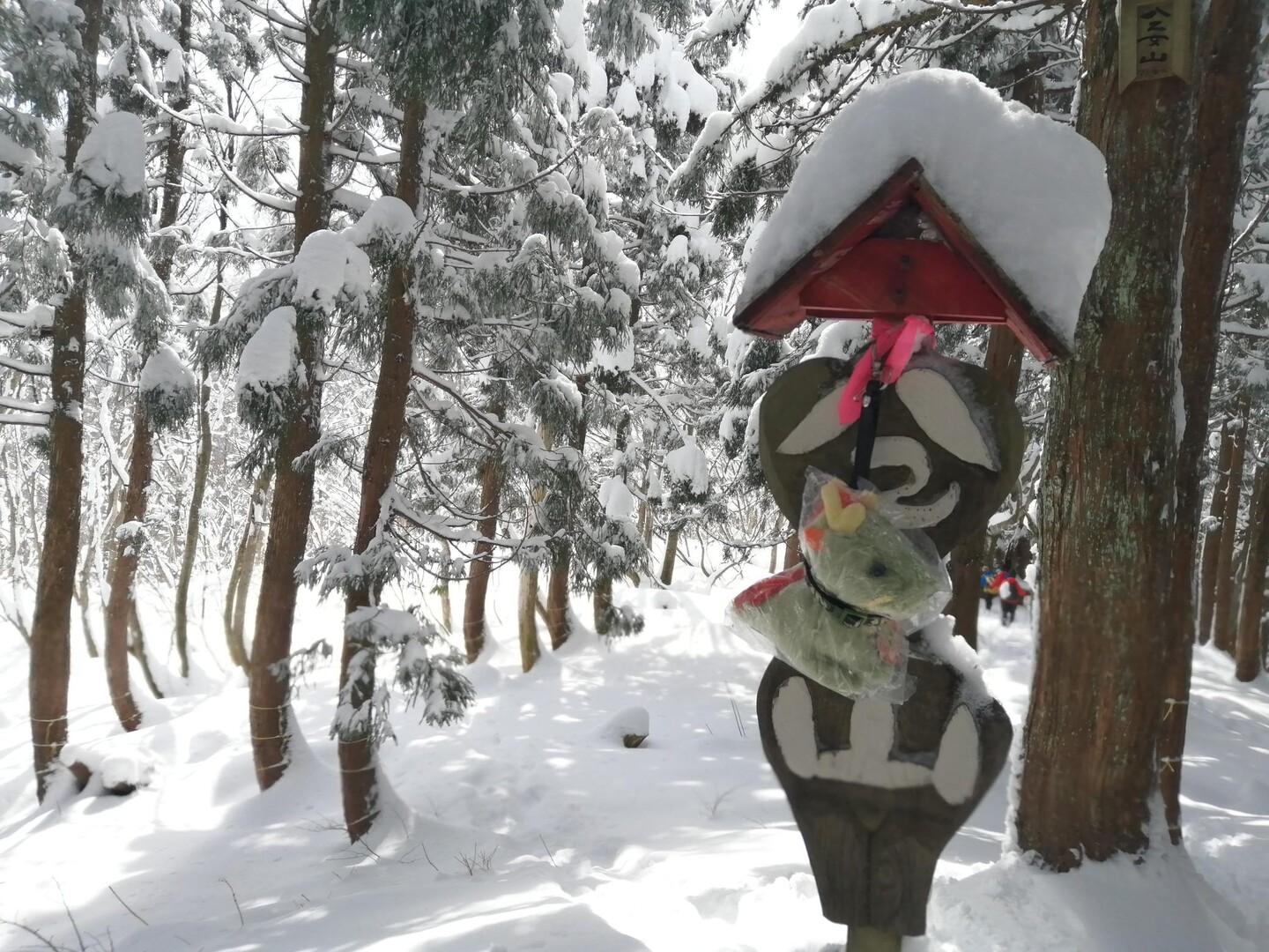 ひな祭りに八乙女山 / yamanobu さんの高清水山・高落場山・八乙女山の活動日記 | YAMAP / ヤマップ