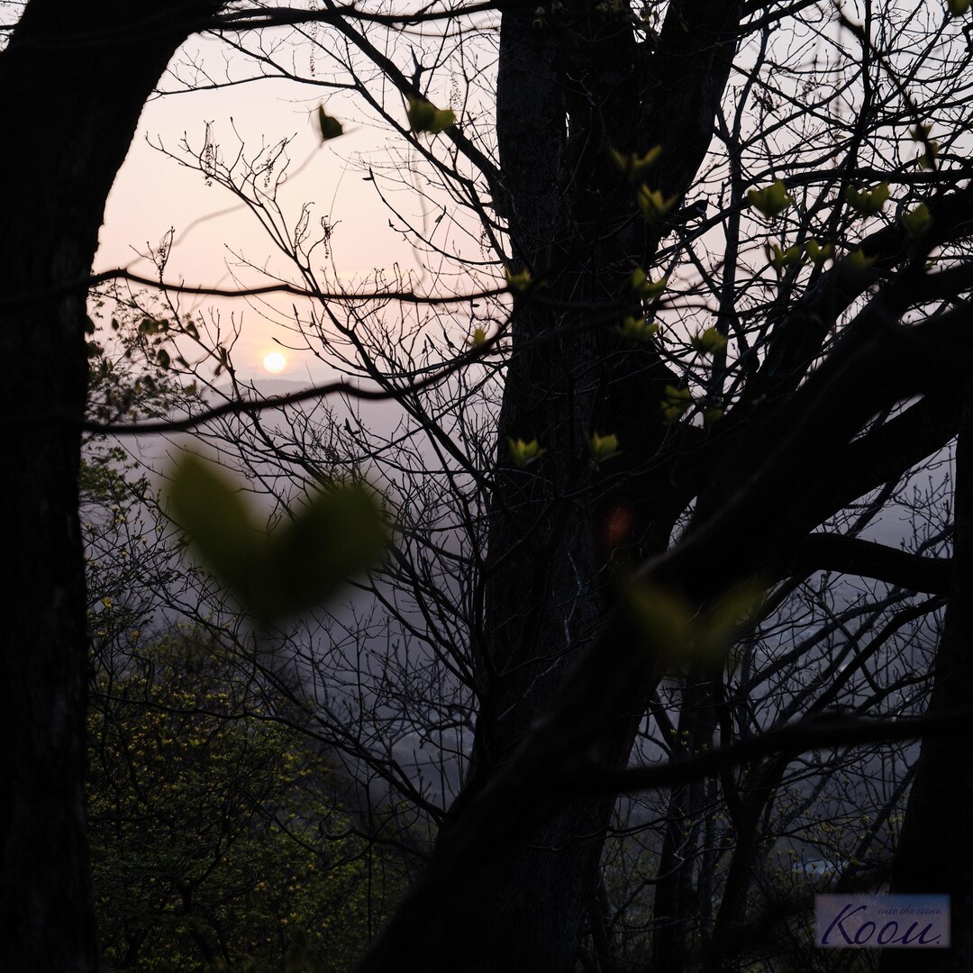 高島トレイルー大谷山・寒風・赤坂山・三国山 / Koou.さんの三国山・乗鞍岳・赤坂山の活動データ | YAMAP / ヤマップ