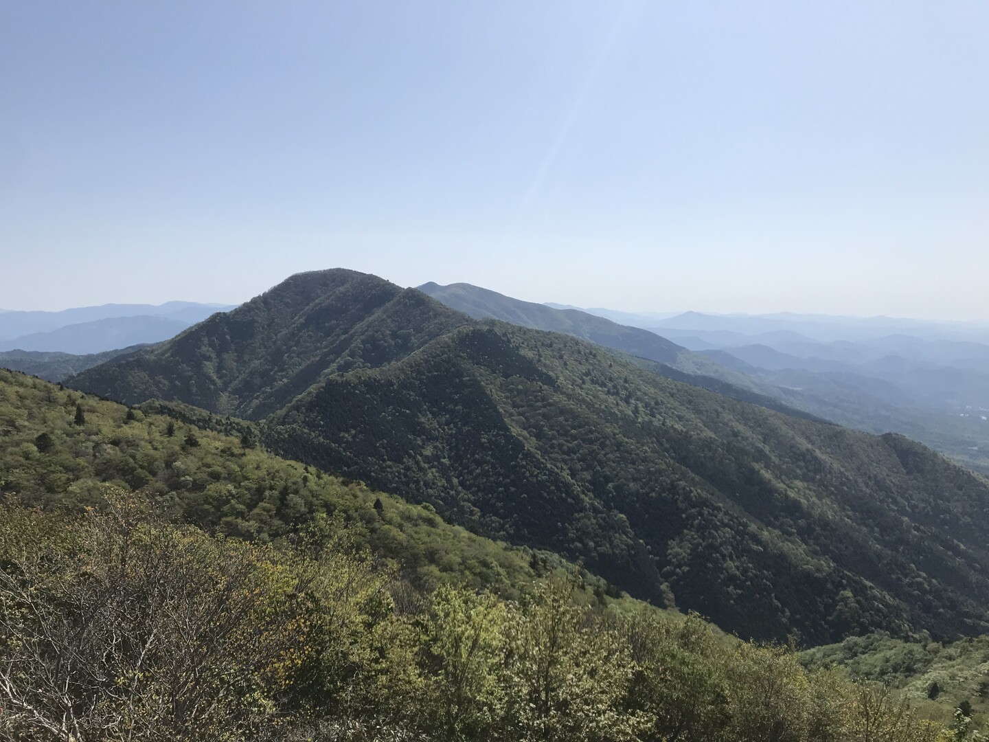 6月5日（日曜日）トレイルランニングの大... / tec （taka）さんのモーメント | YAMAP / ヤマップ