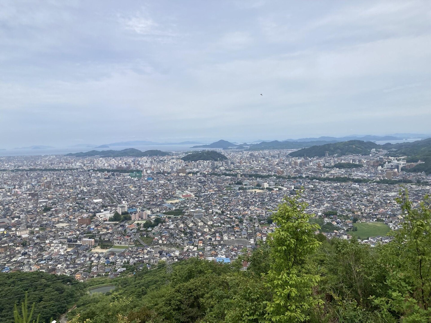 淡路ヶ峠・宝ヶ峯 / Ypaaさんの四国遍路その15の活動データ | YAMAP / ヤマップ