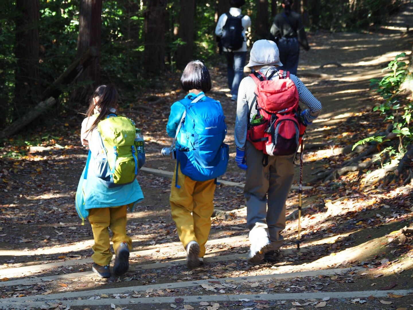 高尾山、三世代登山 / mutsukoさんのウォーキングの活動データ | YAMAP / ヤマップ