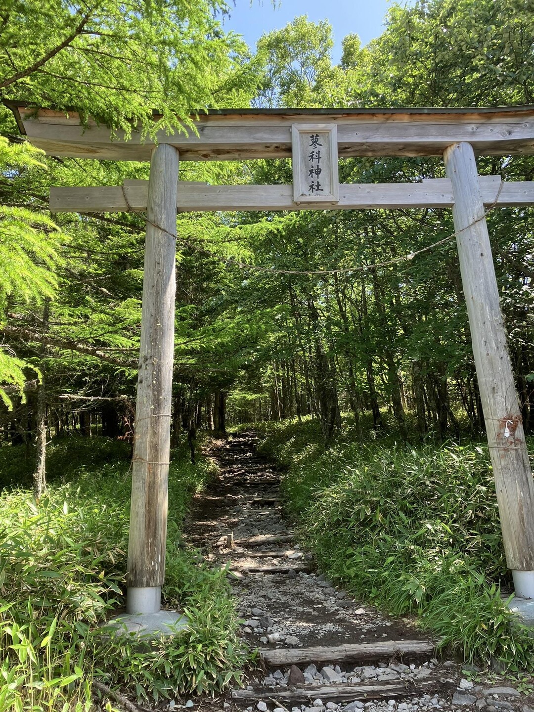 蓼科山 / Full moon nightさんの蓼科山・横岳・縞枯山の活動データ | YAMAP / ヤマップ