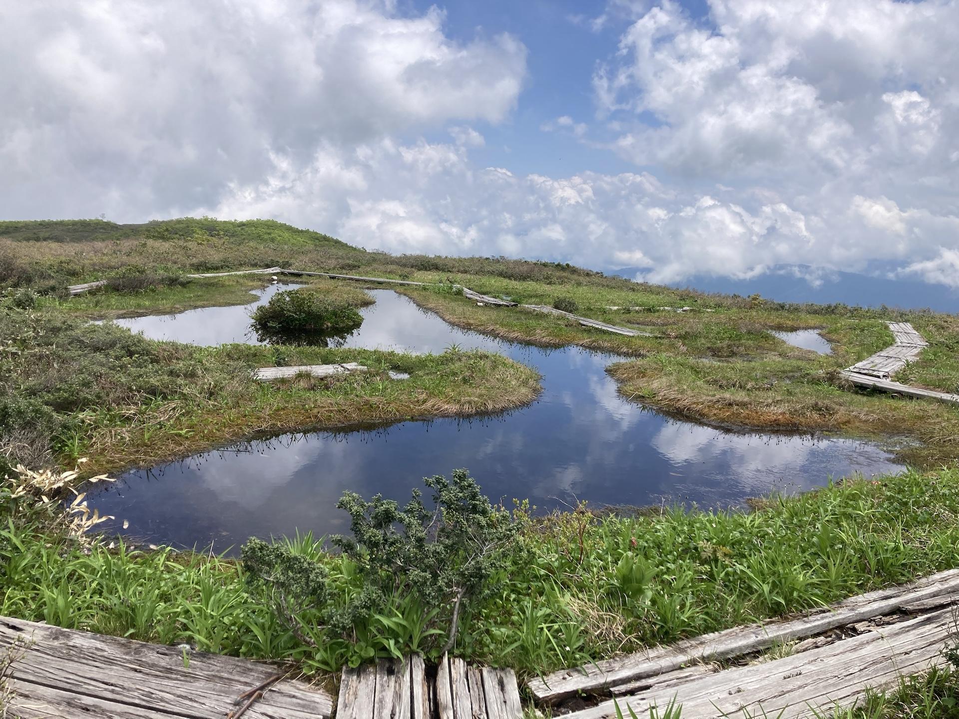 小白木峰〜白木峰〜仁王山🌿周回 / チカコkumacさんの白木峰・小白木峰の活動データ | YAMAP / ヤマップ