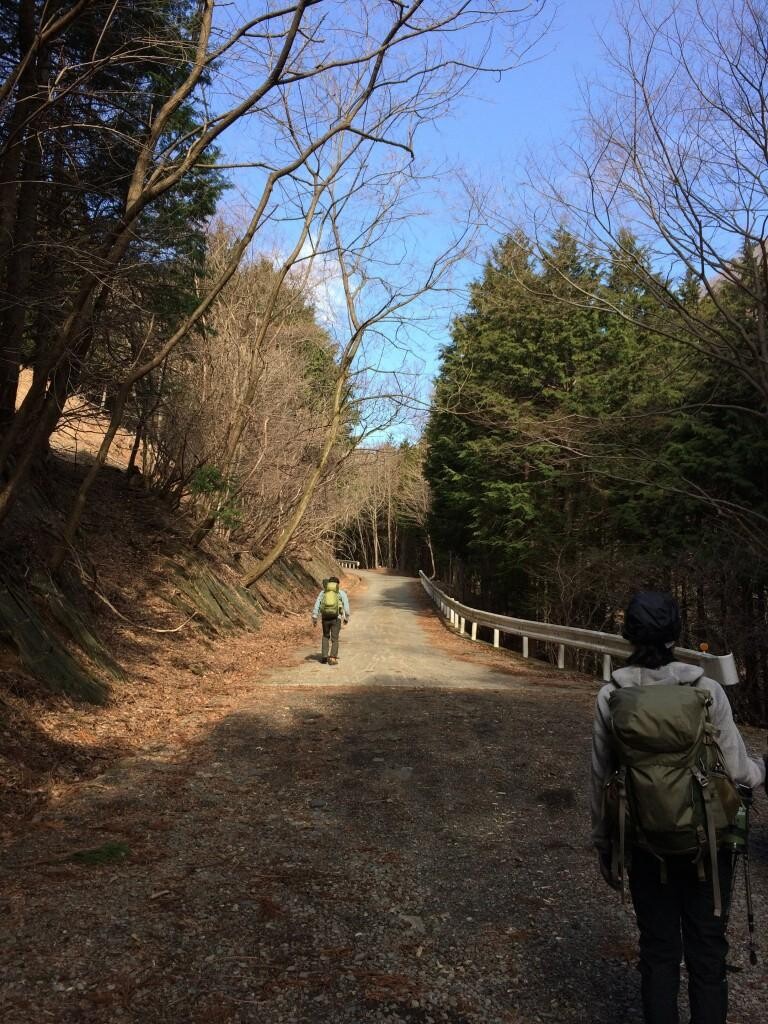 お坊山 米沢山 / Rikumamiさんの滝子山・大谷ヶ丸・笹子雁ヶ腹摺山の活動データ | YAMAP / ヤマップ