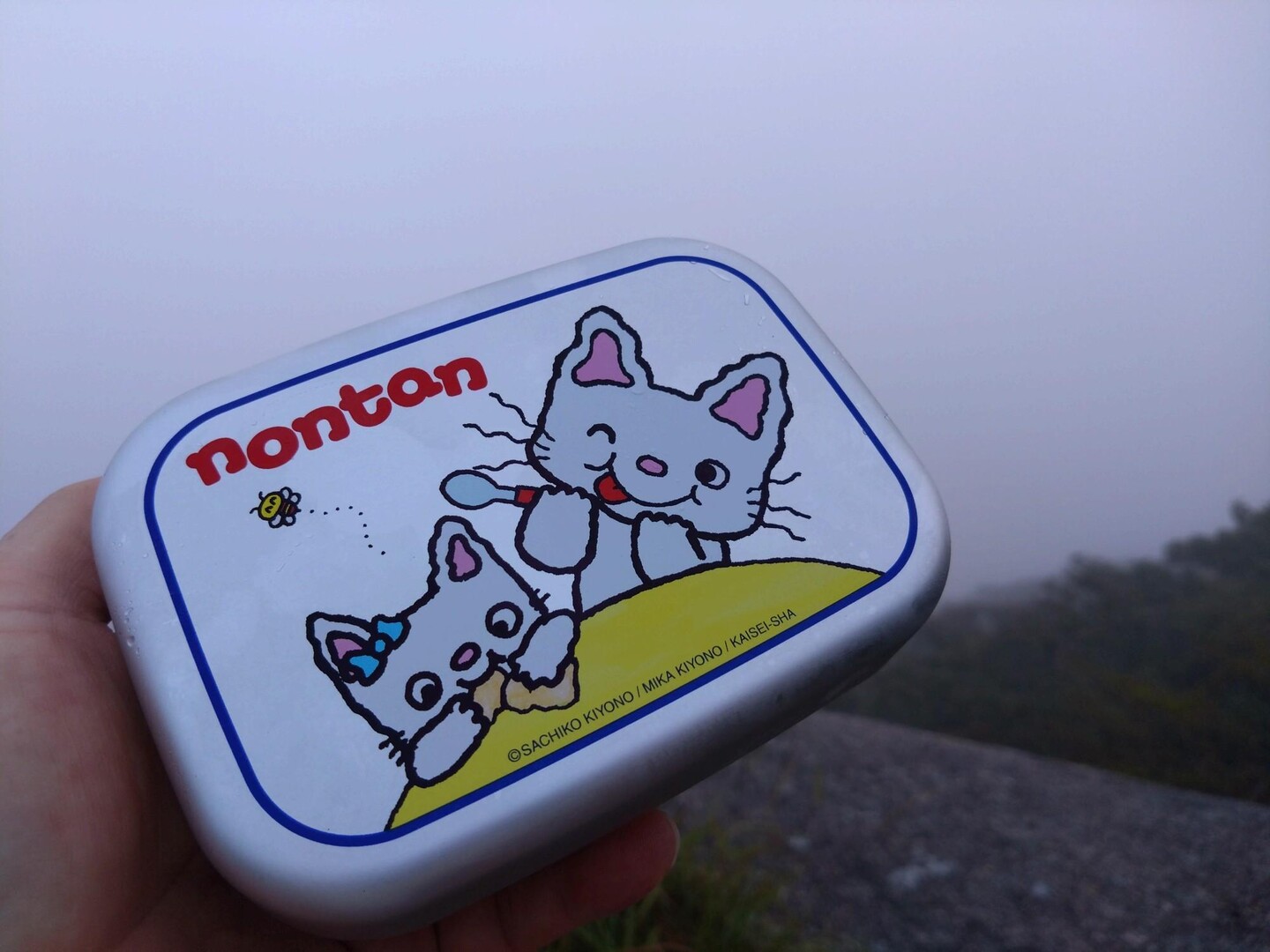 国見岳で朝食を🍱 / ツカッチさんの御在所岳（御在所山）・雨乞岳の活動データ | YAMAP / ヤマップ