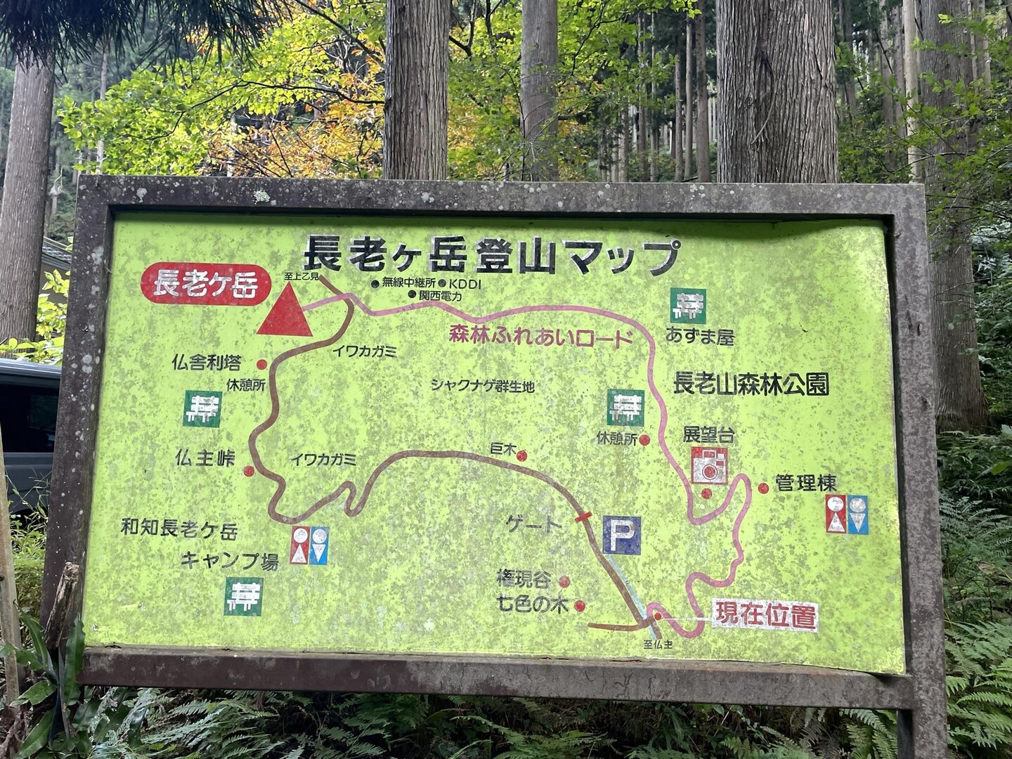 和知・長老が岳2023/10/28(土)... / タームーさんのモーメント | YAMAP / ヤマップ