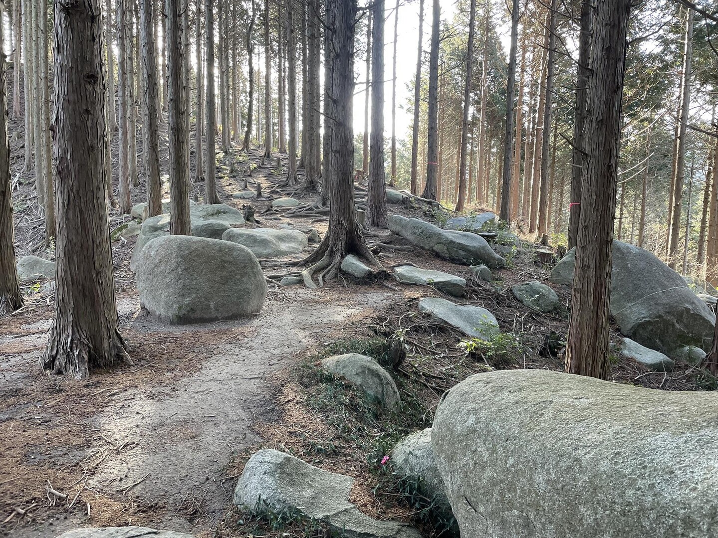 二丈岳・女岳・浮嶽・十坊山 / Solidaさんの二丈岳・十坊山の活動データ | YAMAP / ヤマップ