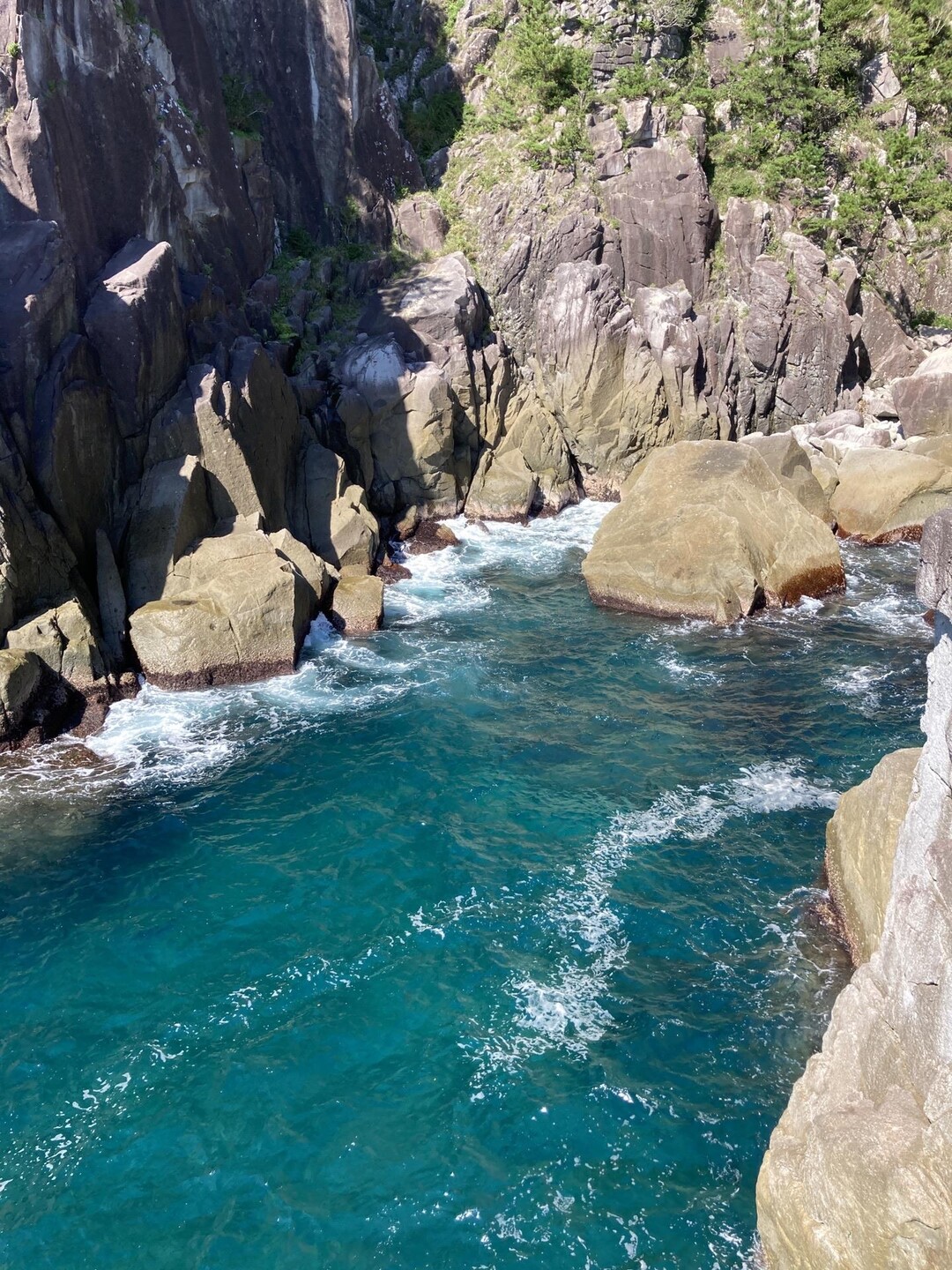 20241013 オハイ•頂山 / Eno-chanさんの八鬼山・頂山・オハイの活動日記 | YAMAP / ヤマップ