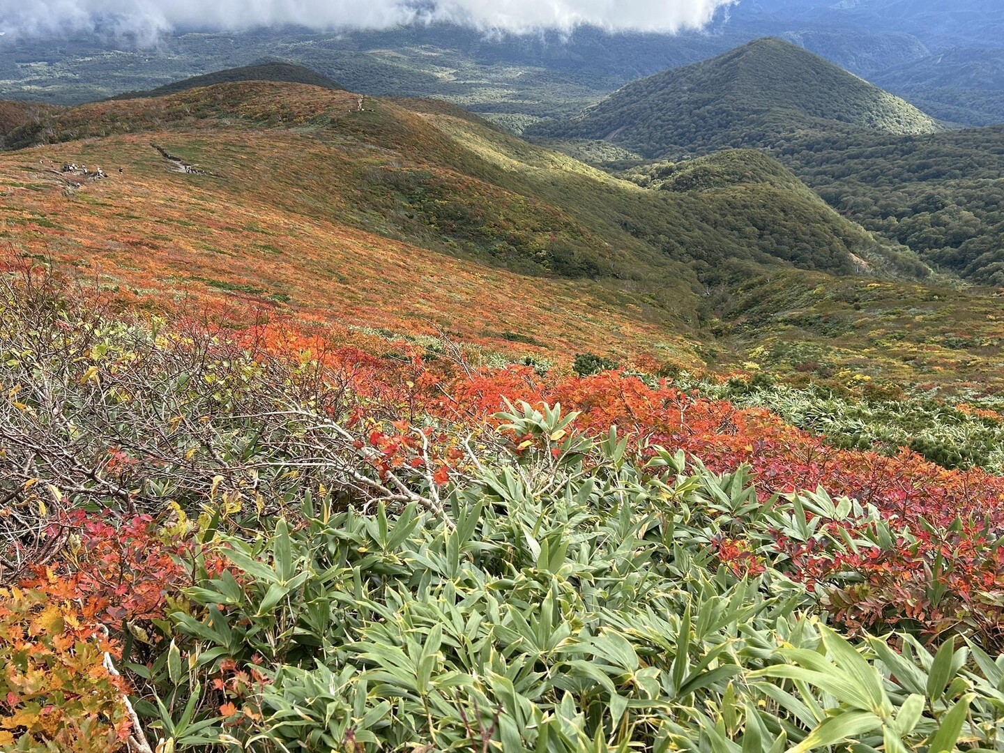 栗駒山(須川岳) 秋🍁先取り / papeさんの栗駒山（須川岳）・秣岳・虚空蔵山の活動データ | YAMAP / ヤマップ