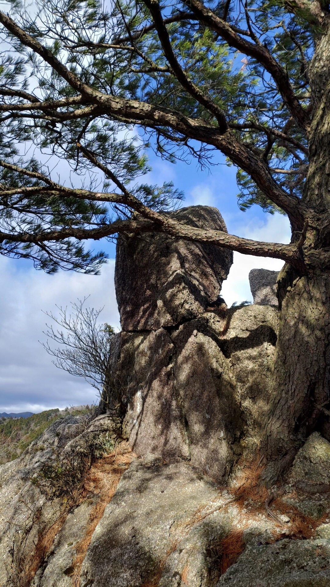 solaさんの投稿したフィールドメモ | YAMAP / ヤマップ