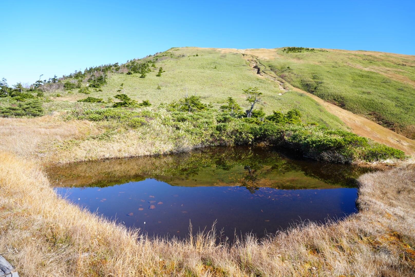 巻機山 / Masa.Rさんの巻機山・割引岳・金城山の活動日記 | YAMAP / ヤマップ