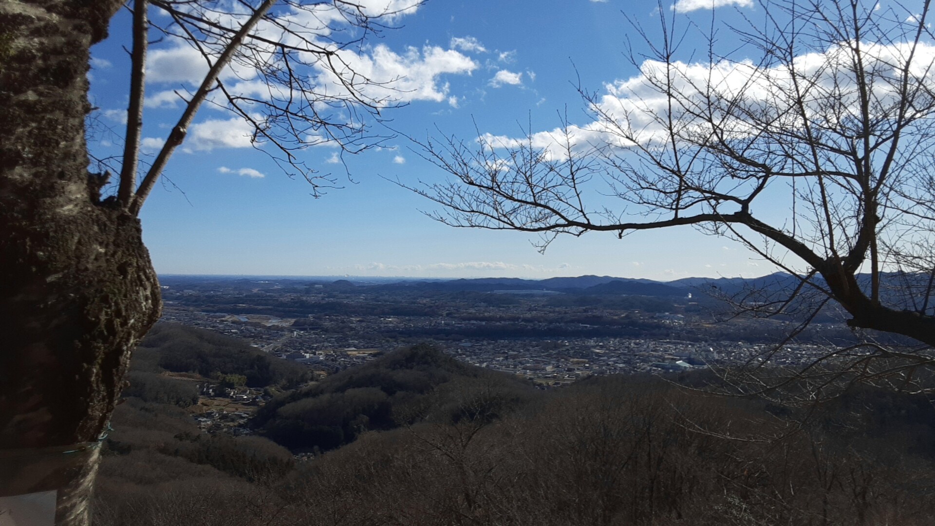 🎍あけましておめでとう🎍 / SSMさんの宝登山・長瀞アルプス・不動山・陣見山・鐘撞堂山の活動データ | YAMAP / ヤマップ