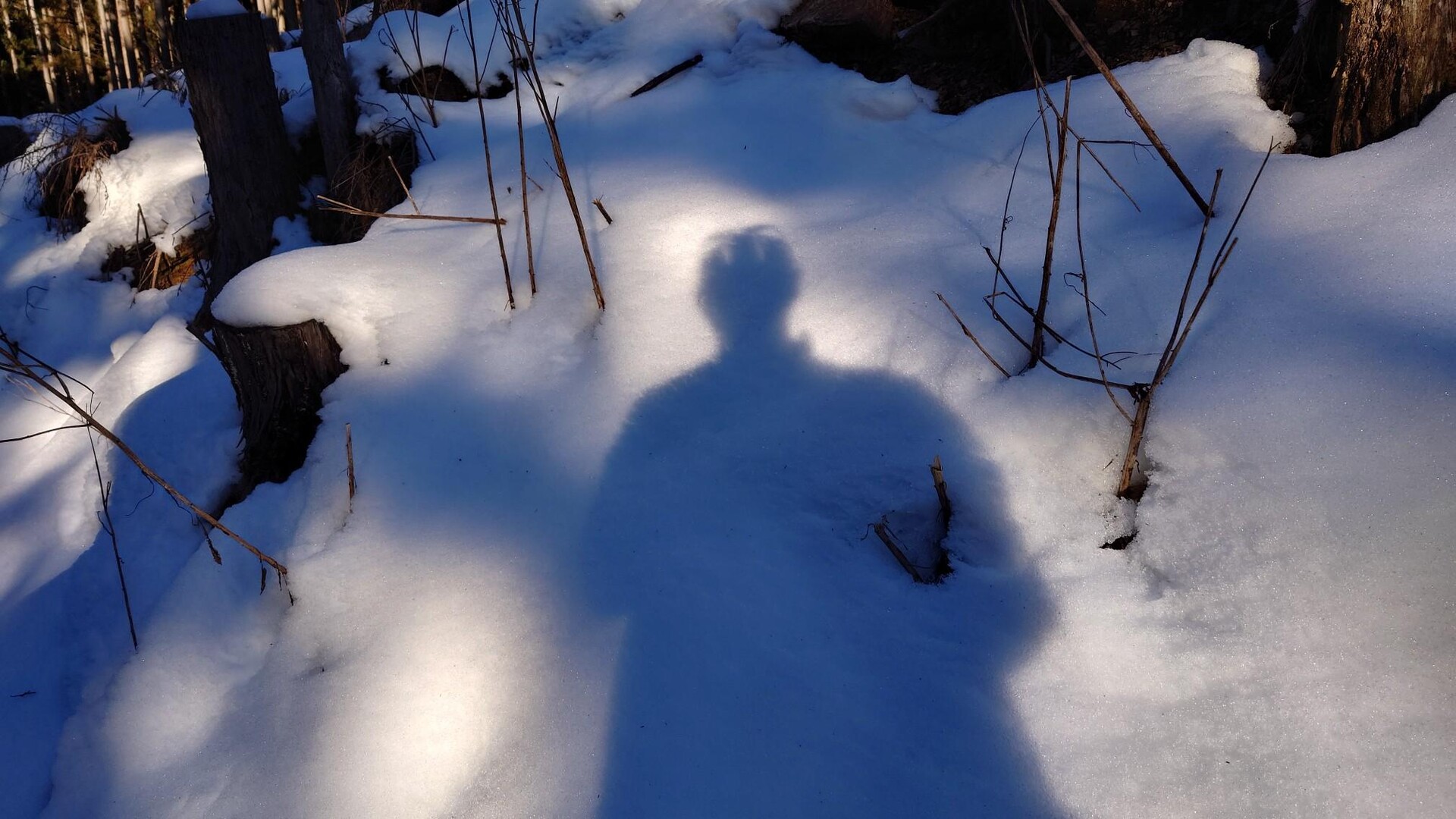 猟期あとわずか / MCボビヲさんの武甲山・伊豆ヶ岳・小持山の活動データ | YAMAP / ヤマップ