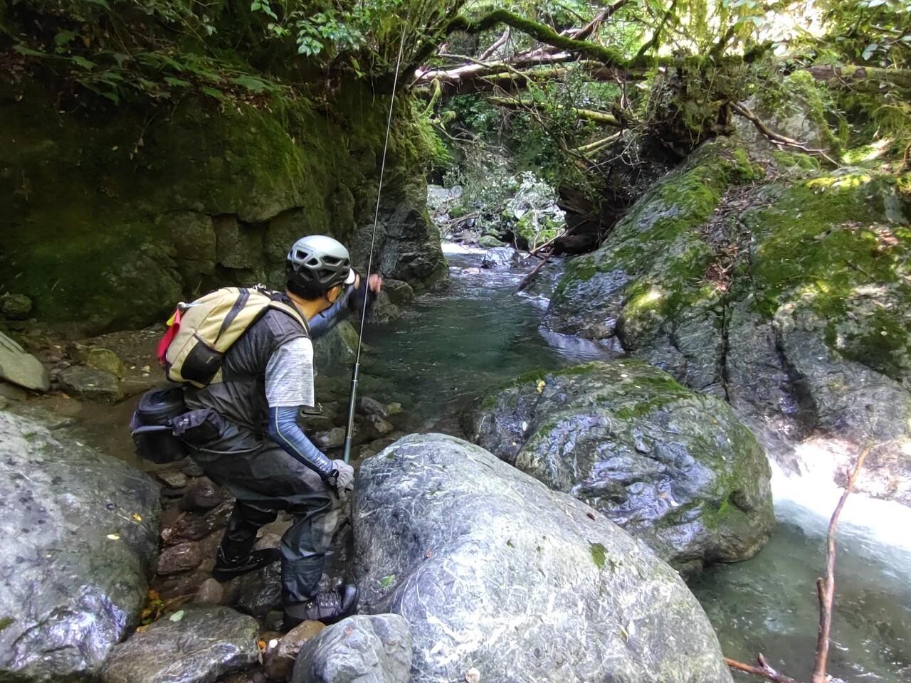 2024渓流レポ#12 本日の釣行は九... / Shoji the fishermanさんのモーメント | YAMAP / ヤマップ