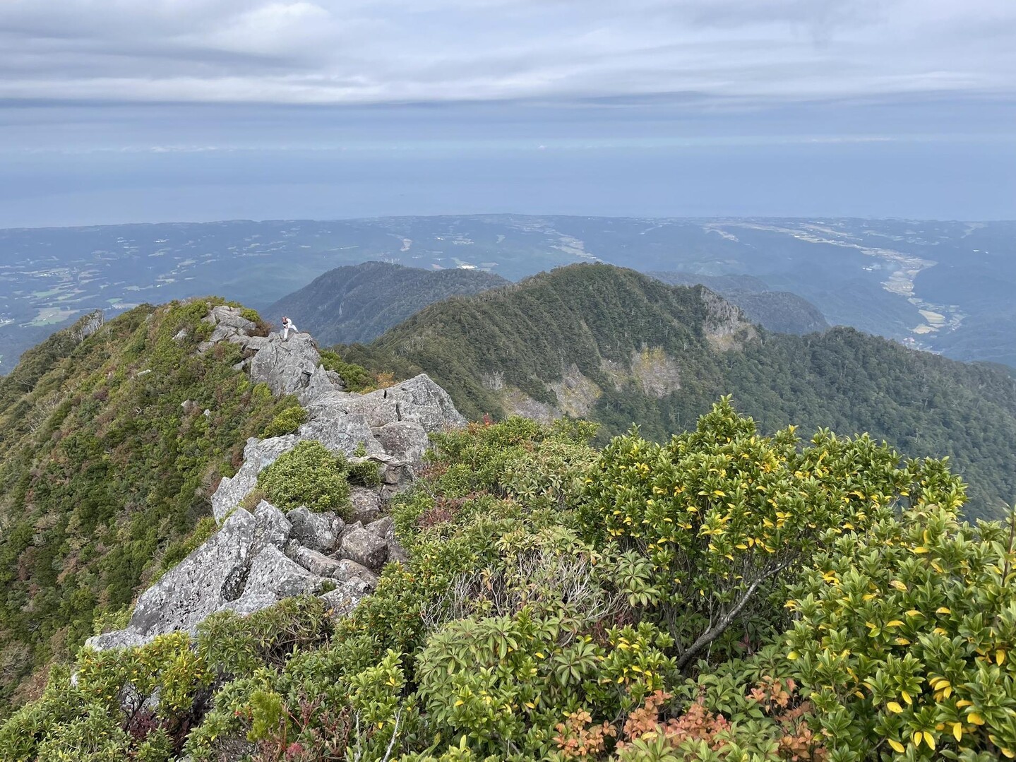 船上山⇄勝田ヶ山⇄甲ヶ山 / なべ(ワンゲルOB)さんの大山・甲ヶ山・野田ヶ山の活動データ | YAMAP / ヤマップ