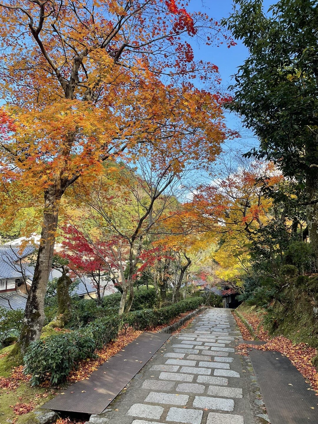 愛宕山 / minorunさんの京都一周トレイルの活動データ | YAMAP / ヤマップ