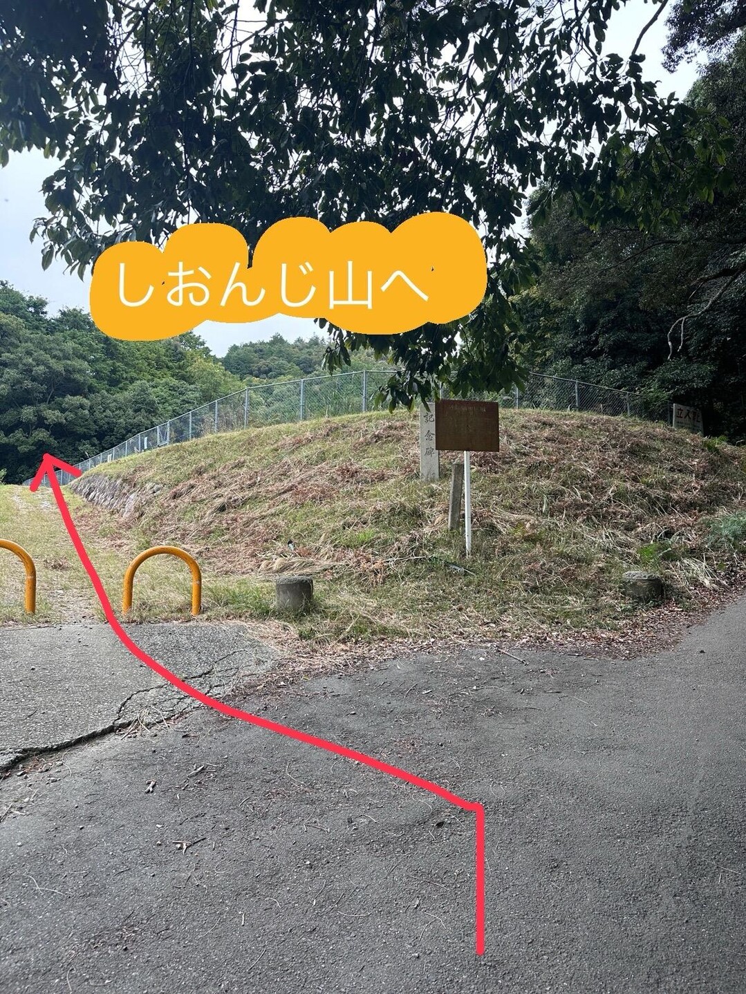 ERlii*さんの投稿したフィールドメモ | YAMAP / ヤマップ