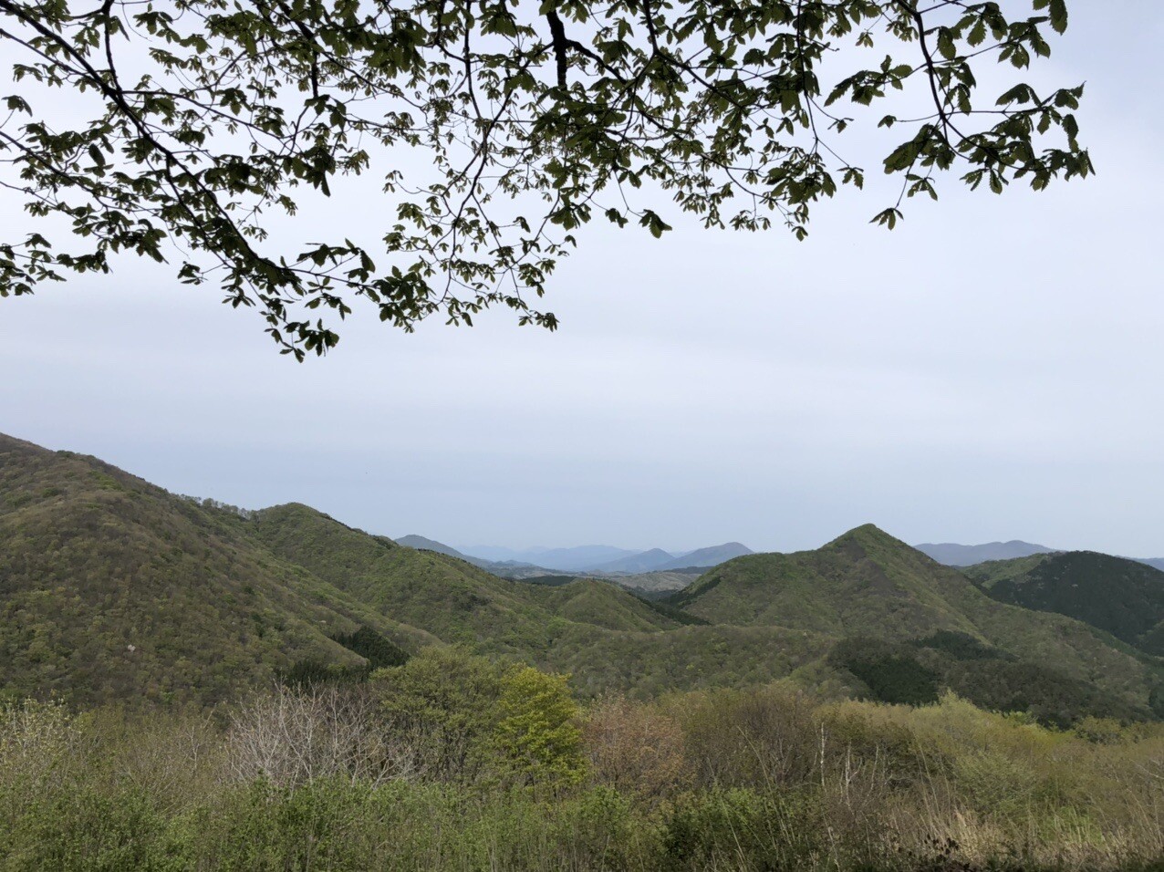 🔺KANAPさんの投稿したフィールドメモ | YAMAP / ヤマップ