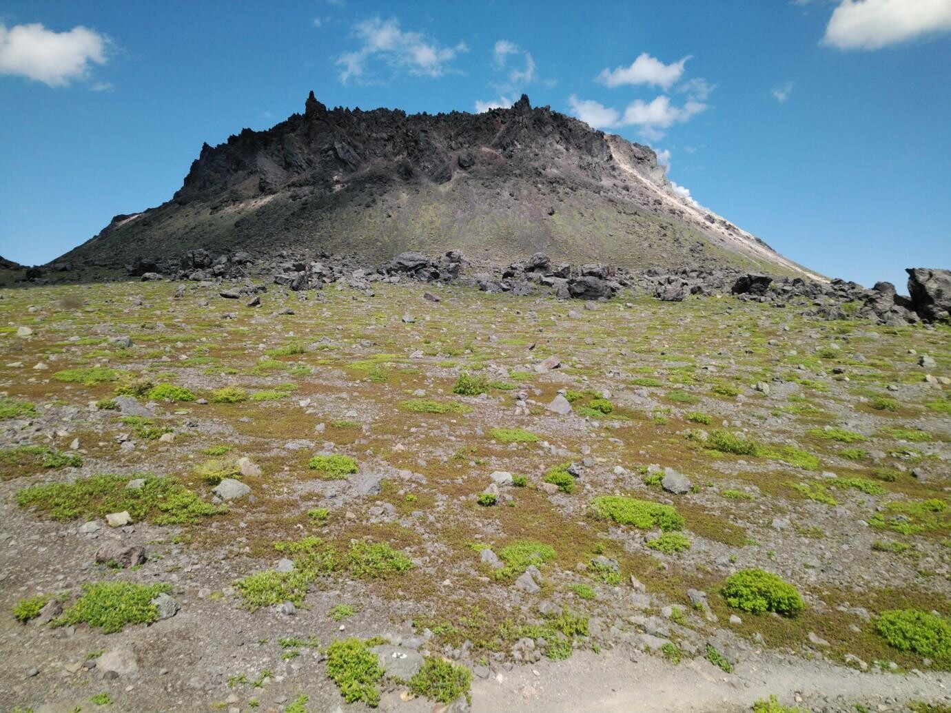 R5/6/20 ひっっさしぶり 樽前山 外輪1周 / fuyumeさんの樽前山・風不死岳の活動データ | YAMAP / ヤマップ