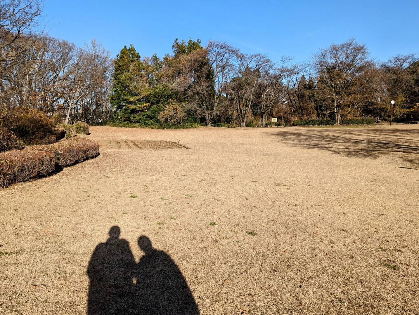 七国山〜片倉城跡公園 / MASAPさんの七国山の活動データ | YAMAP / ヤマップ