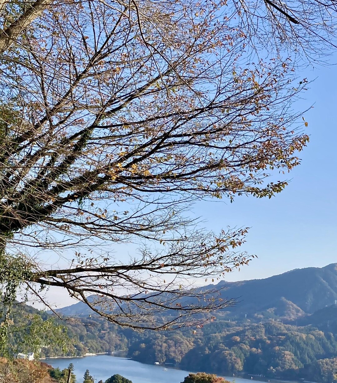 旧甲州街道 / skipさんのモーメント | YAMAP / ヤマップ