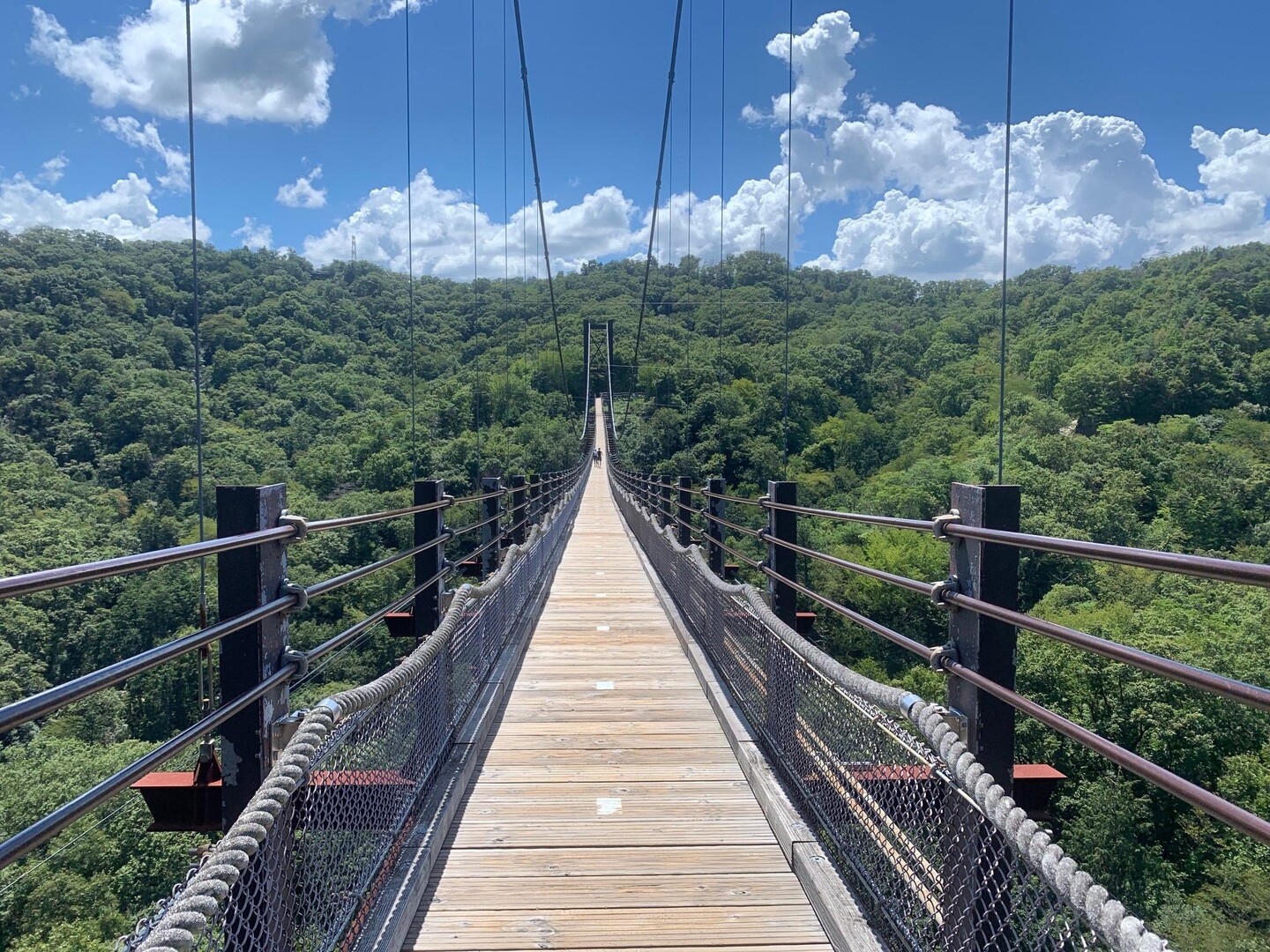 生駒山リベンジ！ のはずが… / Goriさんの生駒山・神津嶽・大原山の活動データ | YAMAP / ヤマップ