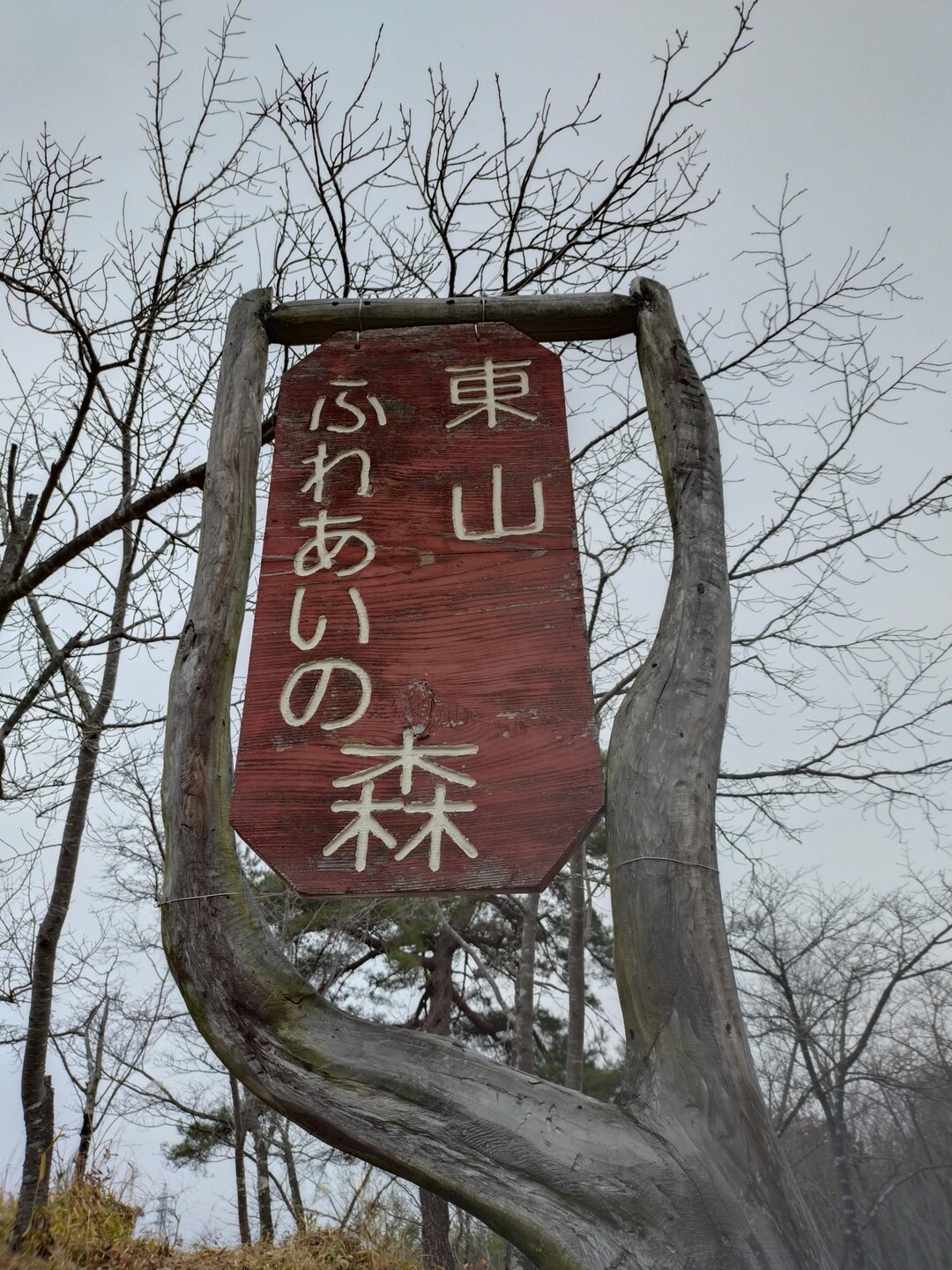 東山 / yoko.kさんの茶臼山の活動データ | YAMAP / ヤマップ