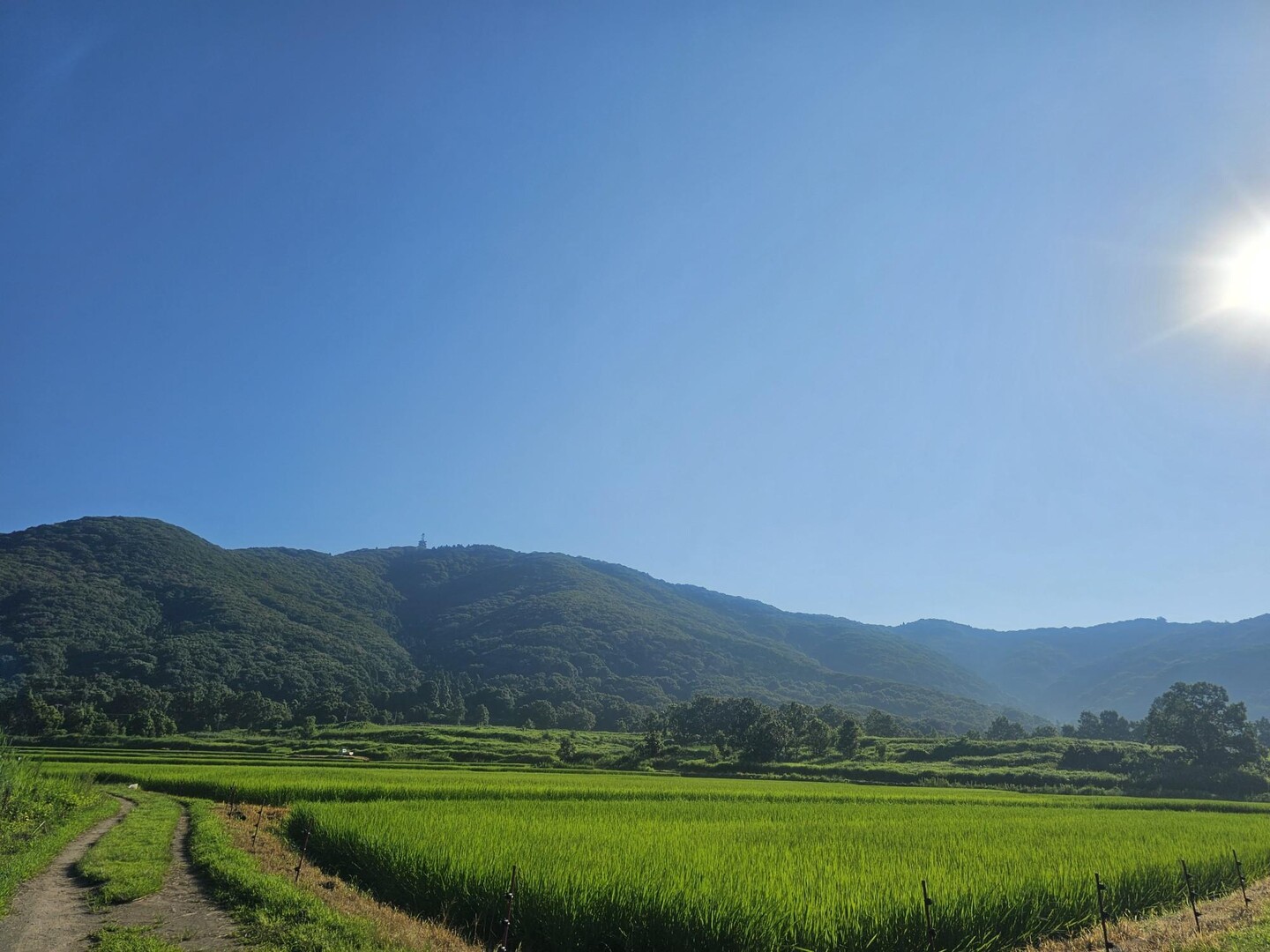 尖浅間山・宝篋山 / nobssさんの宝篋山・富岡山の活動データ | YAMAP / ヤマップ