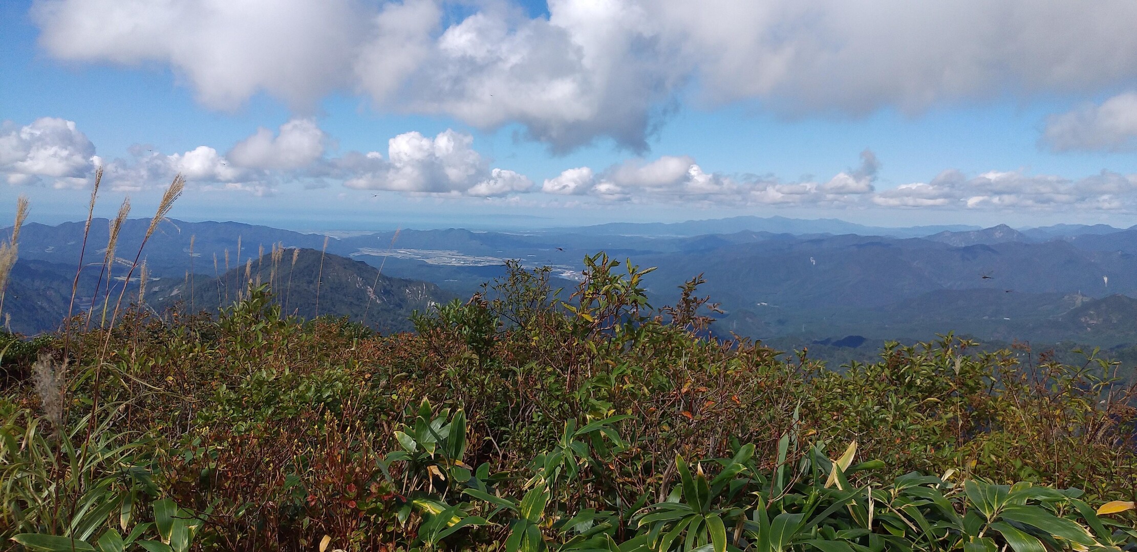 急登😣急登💦大境山-2024-10-12 / 衝さんの飯豊山・大日岳・御西岳の活動日記 | YAMAP / ヤマップ