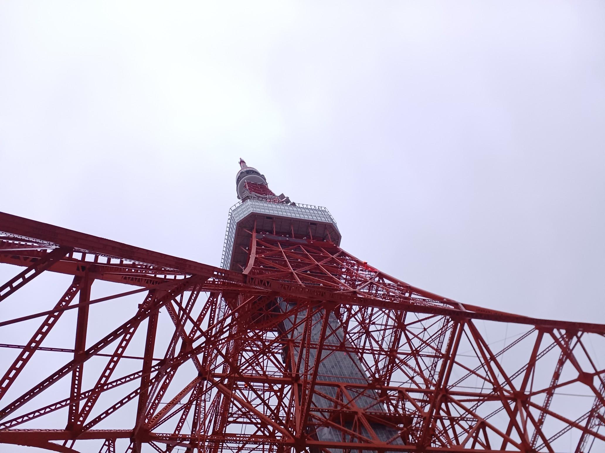 とんがり兄さん、どっしり構えて、弟くんを... / hiroさんのモーメント | YAMAP / ヤマップ