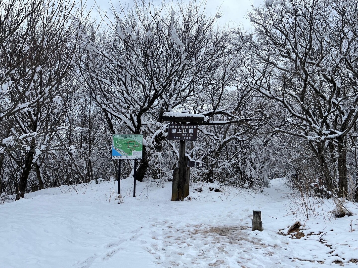 春はまだかな？ 国上山 / tamu.kさんの弥彦山・多宝山・雨乞山の活動データ | YAMAP / ヤマップ