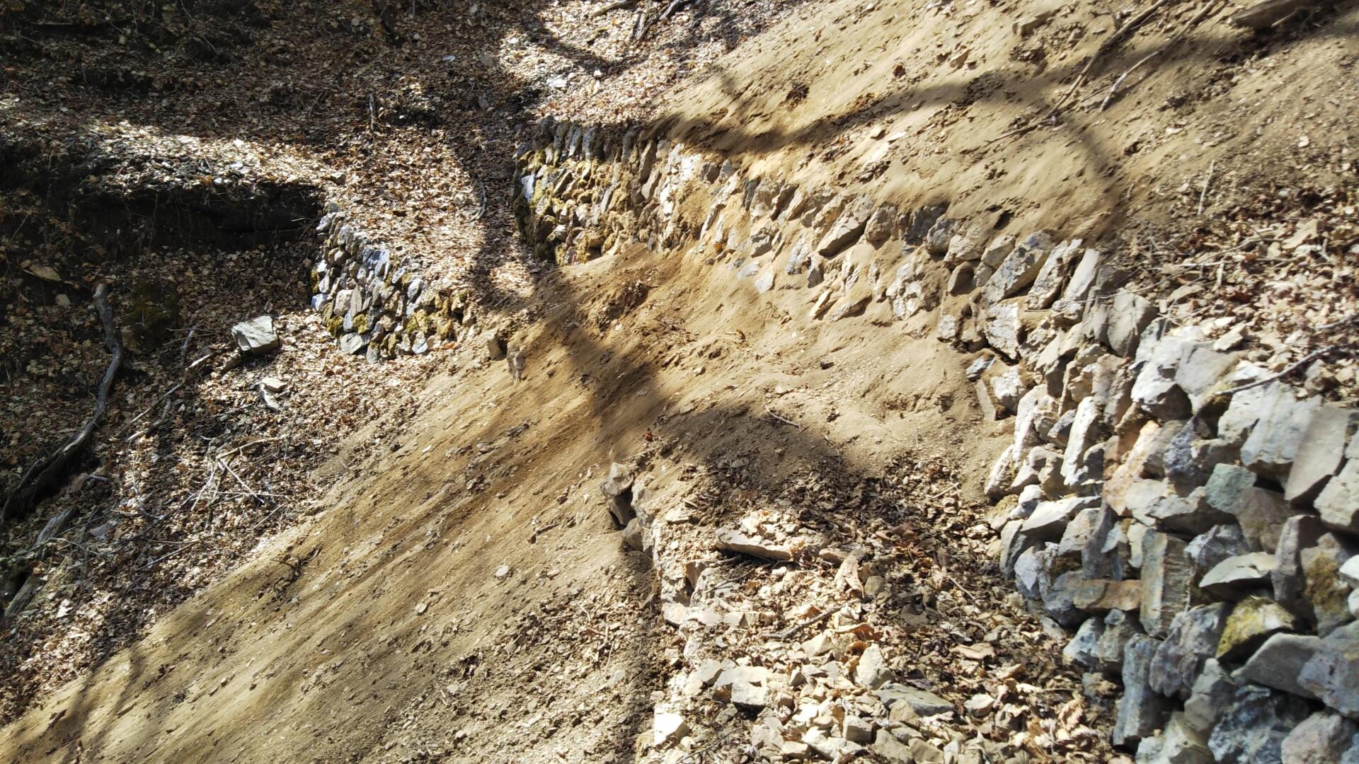 URJさんの投稿したフィールドメモ | YAMAP / ヤマップ