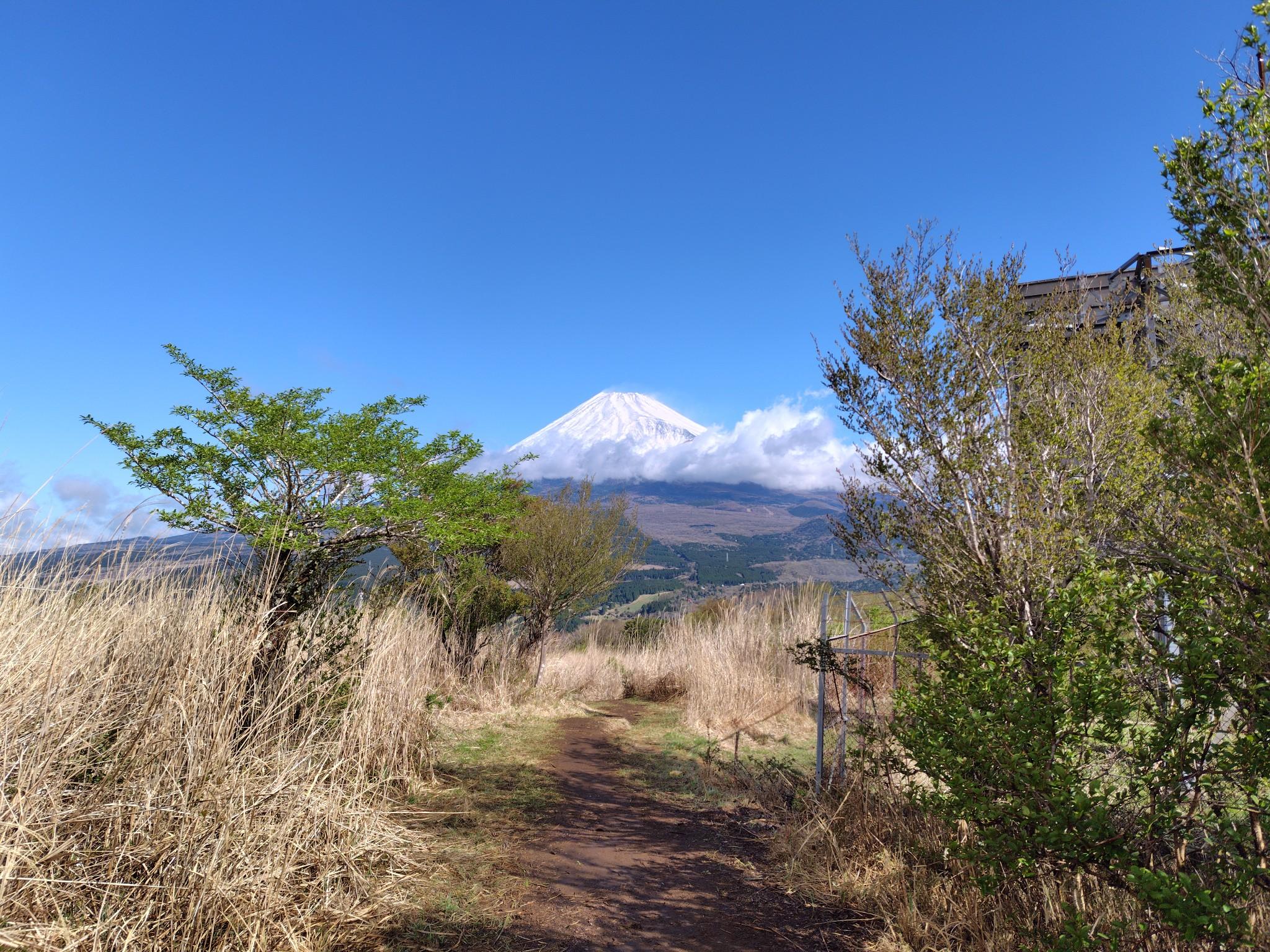 越前岳 パート5!? / いがちゃんさんのFUJISAN LONG TRAIL（愛鷹・富士南麓エリア SOUTH）の活動データ | YAMAP / ヤマップ