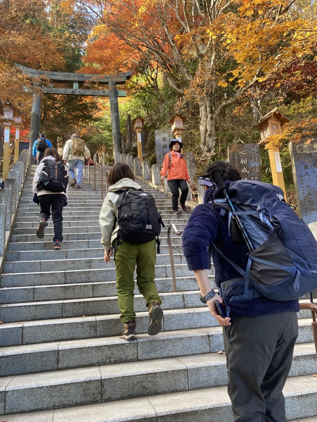 御岳山・大岳山・トバノ岩山・中岩山・オキノ中岩山・鋸山・愛宕山 / Kota.Yさんの大岳山・御岳山・御前山の活動データ | YAMAP / ヤマップ