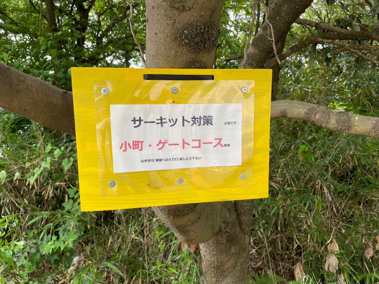 von Sigさんの投稿したフィールドメモ | YAMAP / ヤマップ