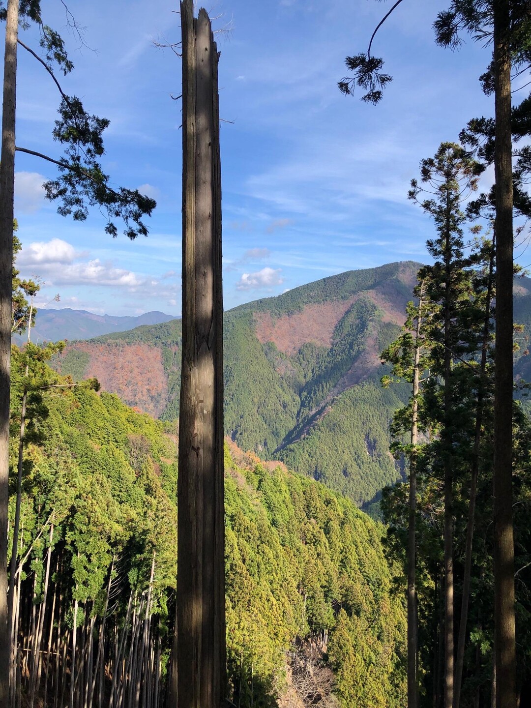 丸尾山 / Zak-Sanさんの有田川の活動データ | YAMAP / ヤマップ